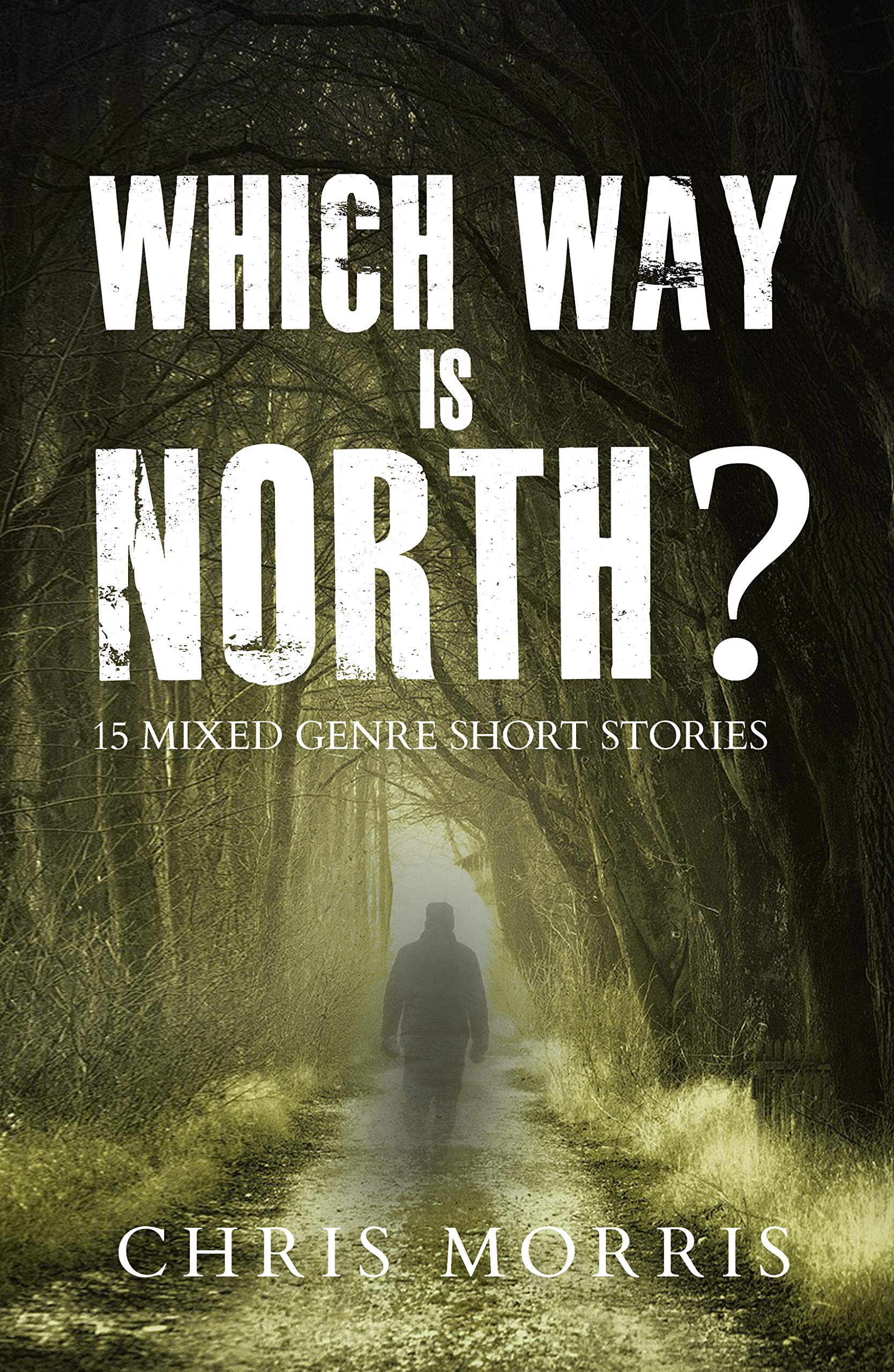 Which Way is North? by Chris Morris | Goodreads