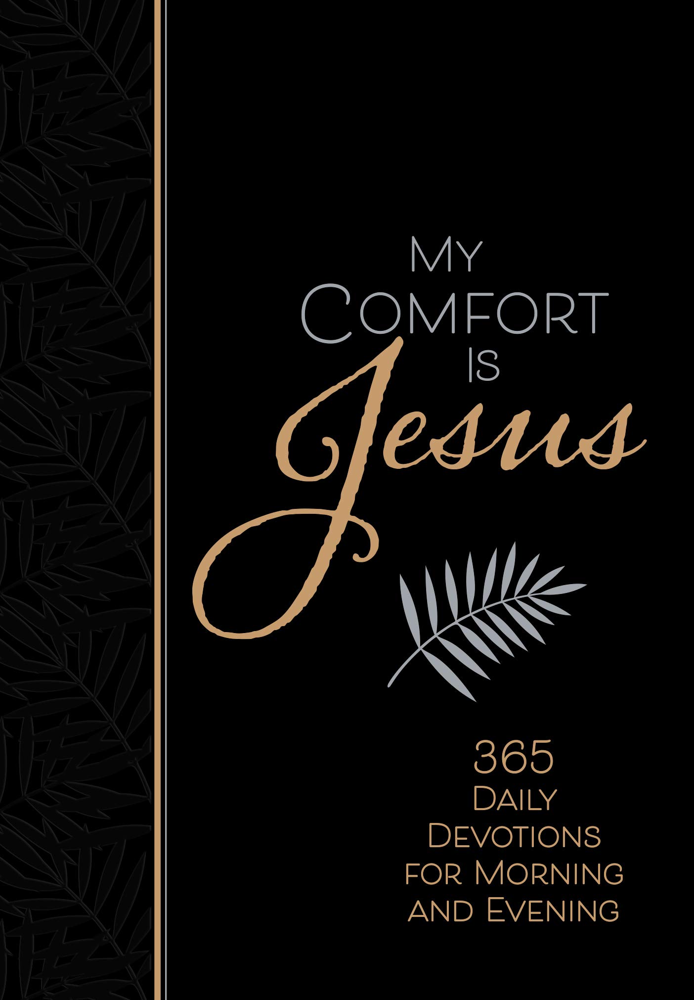 My Comfort Is Jesus: 365 Daily Devotions for Morning and Evening by Ray ...