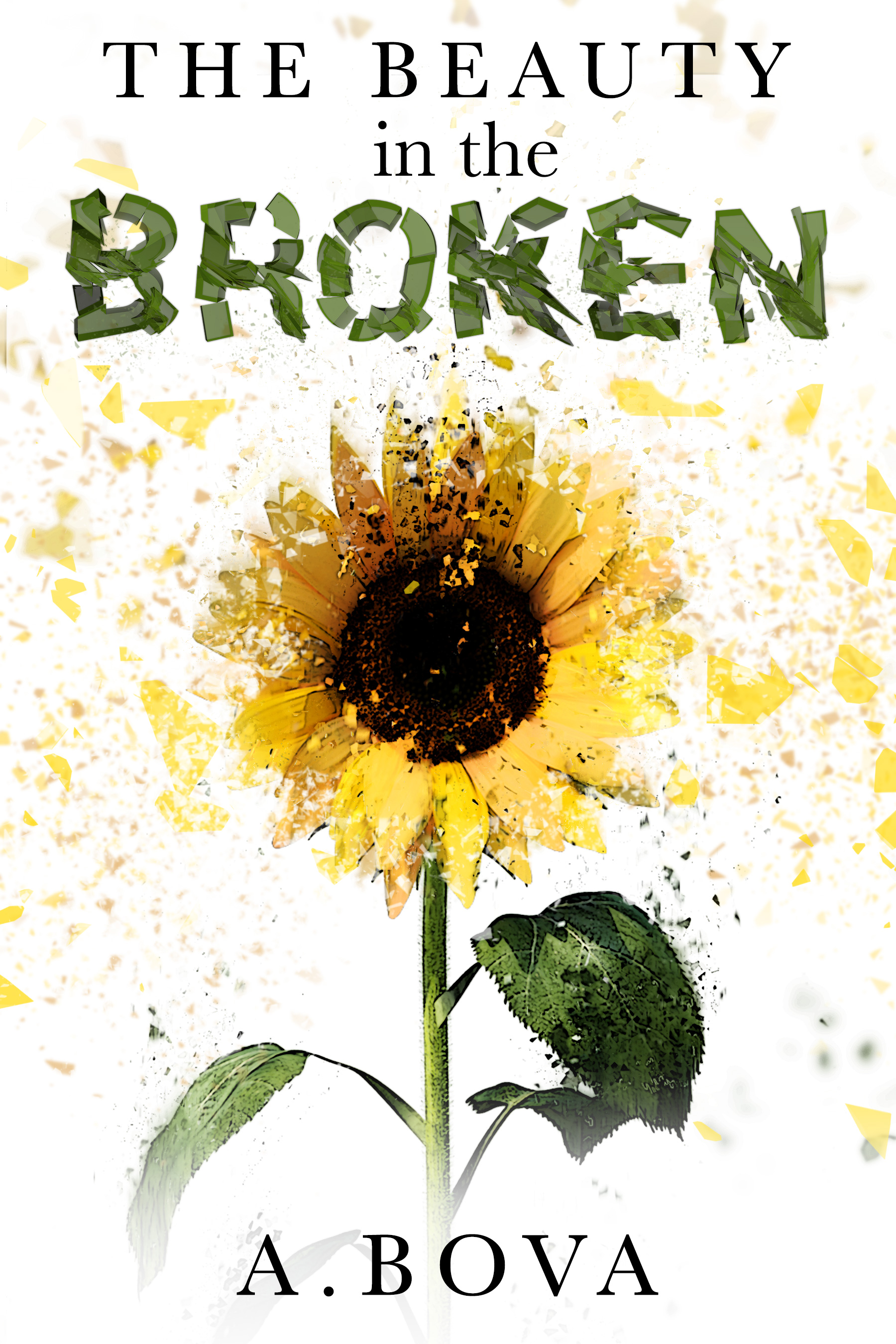 The Beauty in the Broken by A. Bova | Goodreads