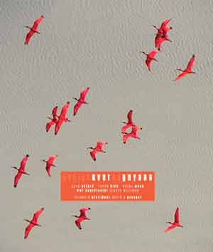 Undiscovered Guyana by Pete Oxford | Goodreads