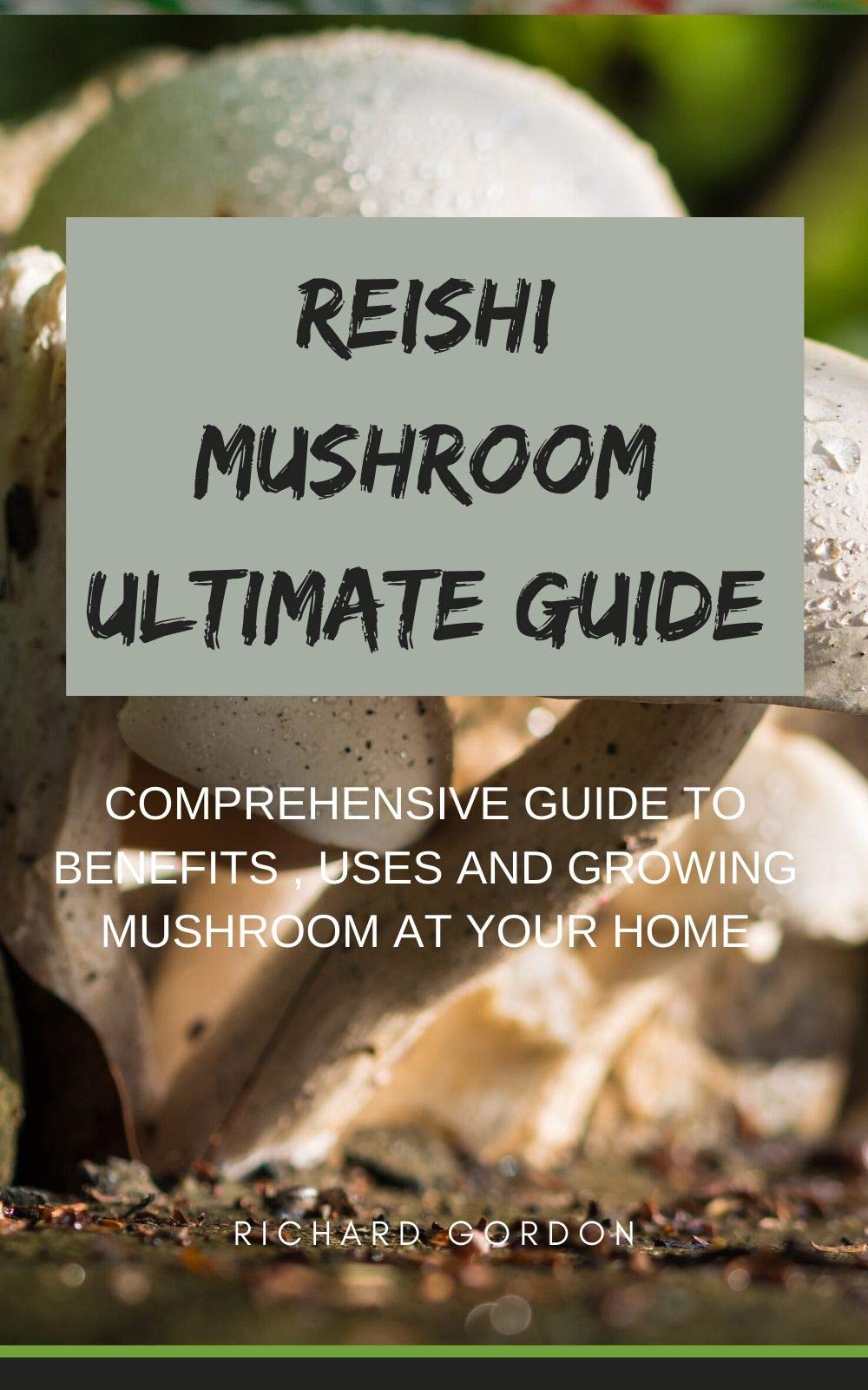 REISHI MUSHROOM ULTIMATE GUIDE : Comprehensive Guide To Benefits, Uses ...