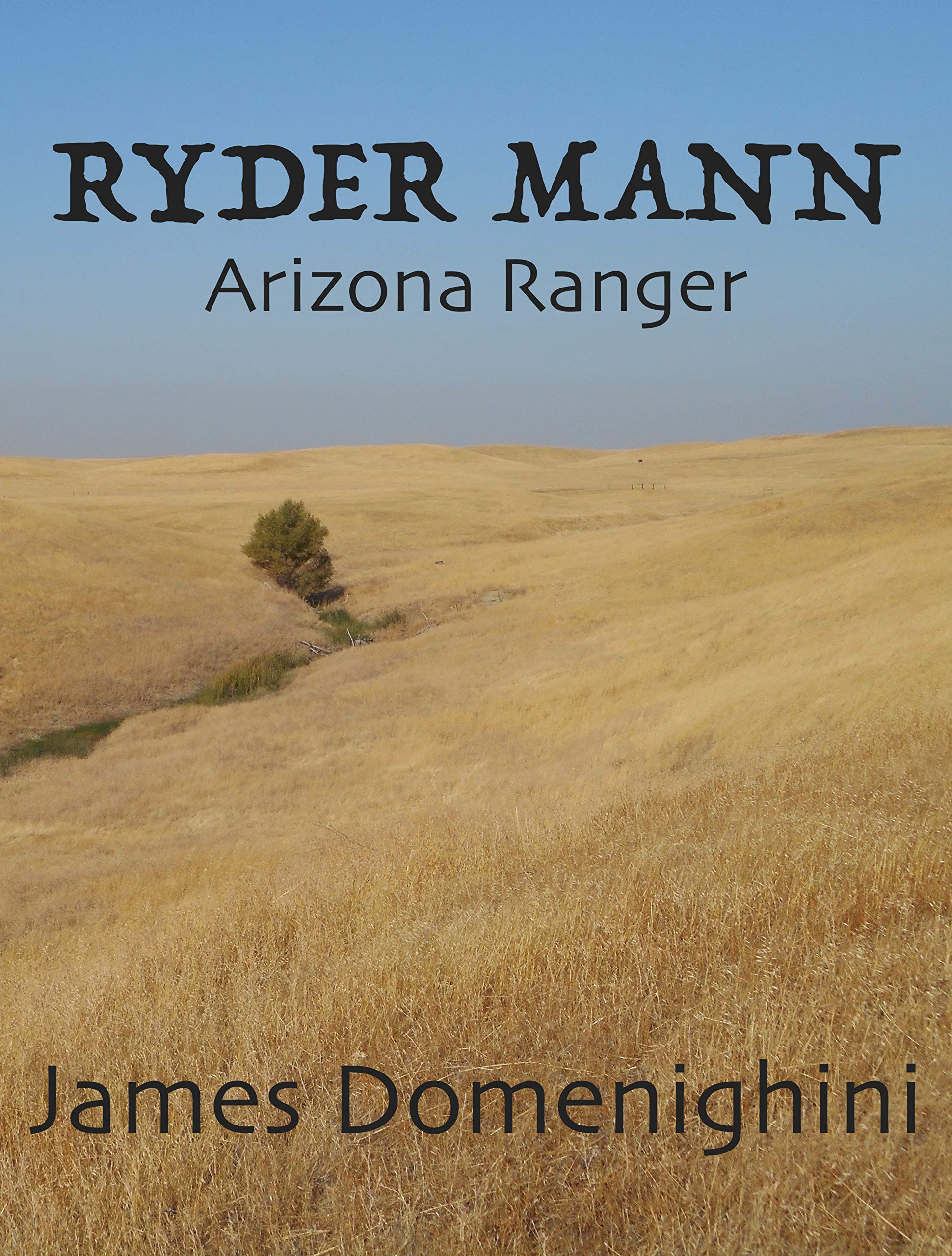 RYDER MANN: Arizona Ranger by James Domenighini | Goodreads