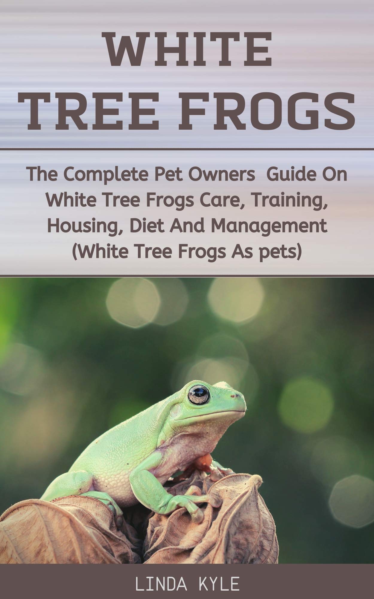 White Tree Frogs: The Complete Pet Owners Guide On White Tree Frogs ...