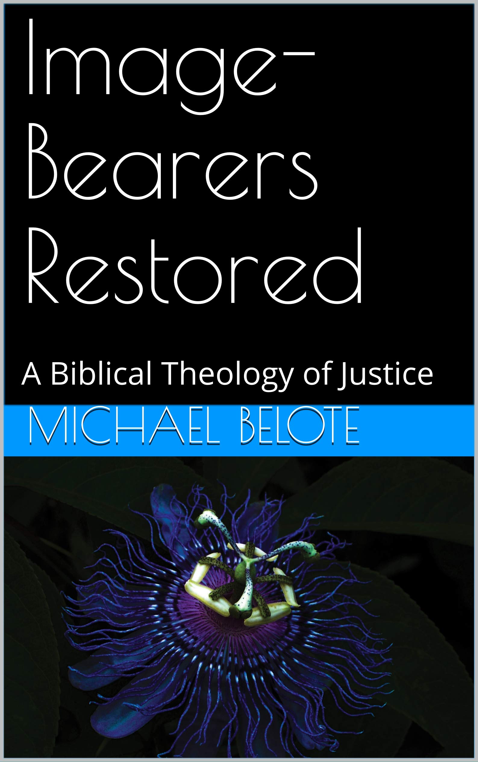Image-Bearers Restored: A Biblical Theology of Justice by Michael ...