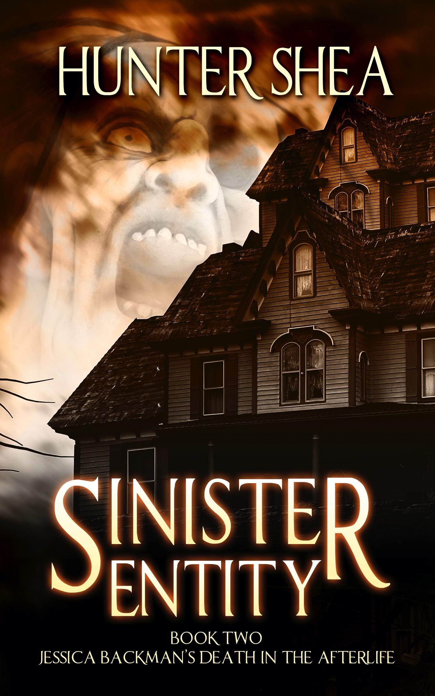 Sinister Entity: Book Two : Jessica Backman's Death in the Afterlife by ...