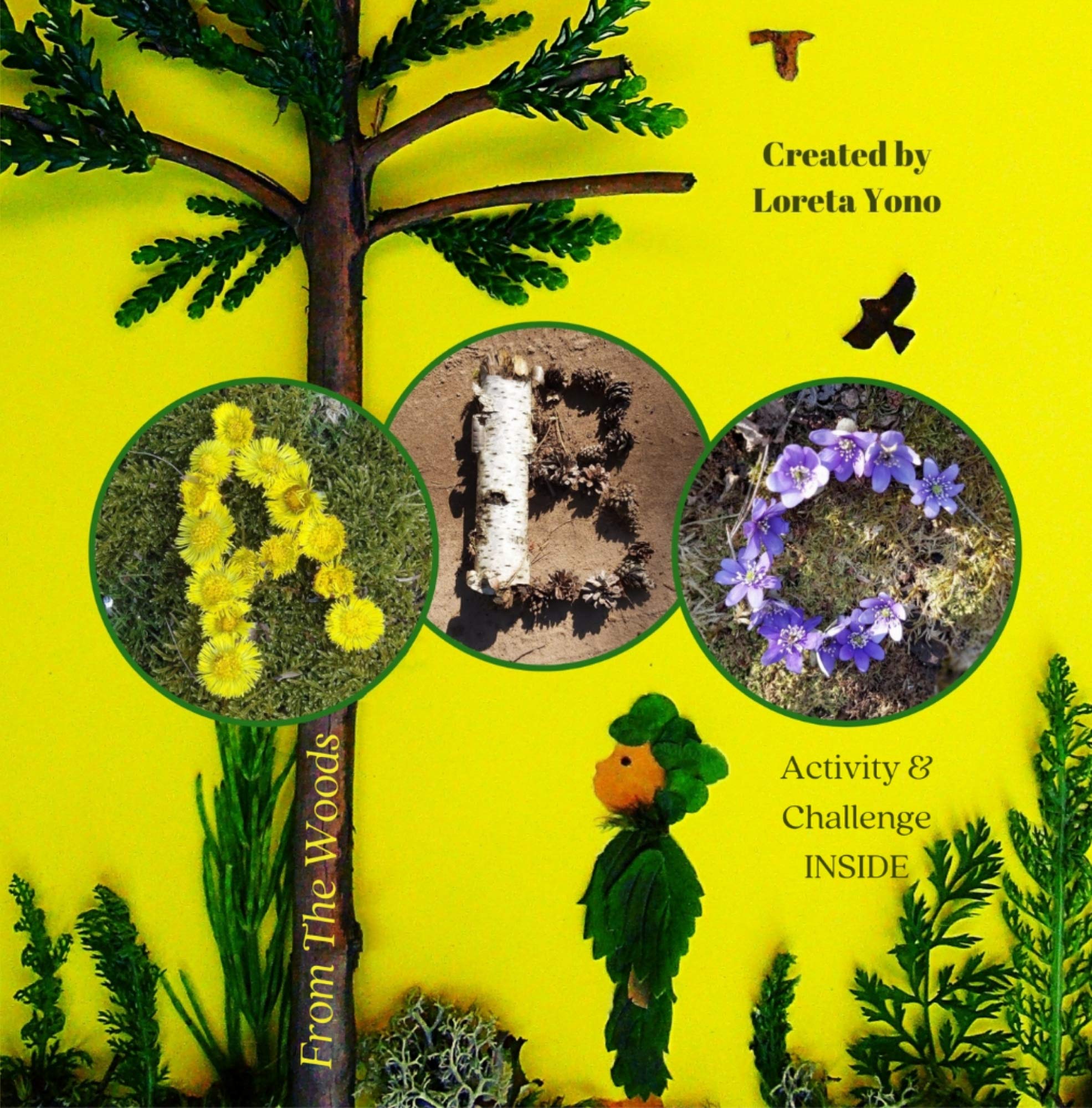 ABC From The Woods by Loreta Yono | Goodreads