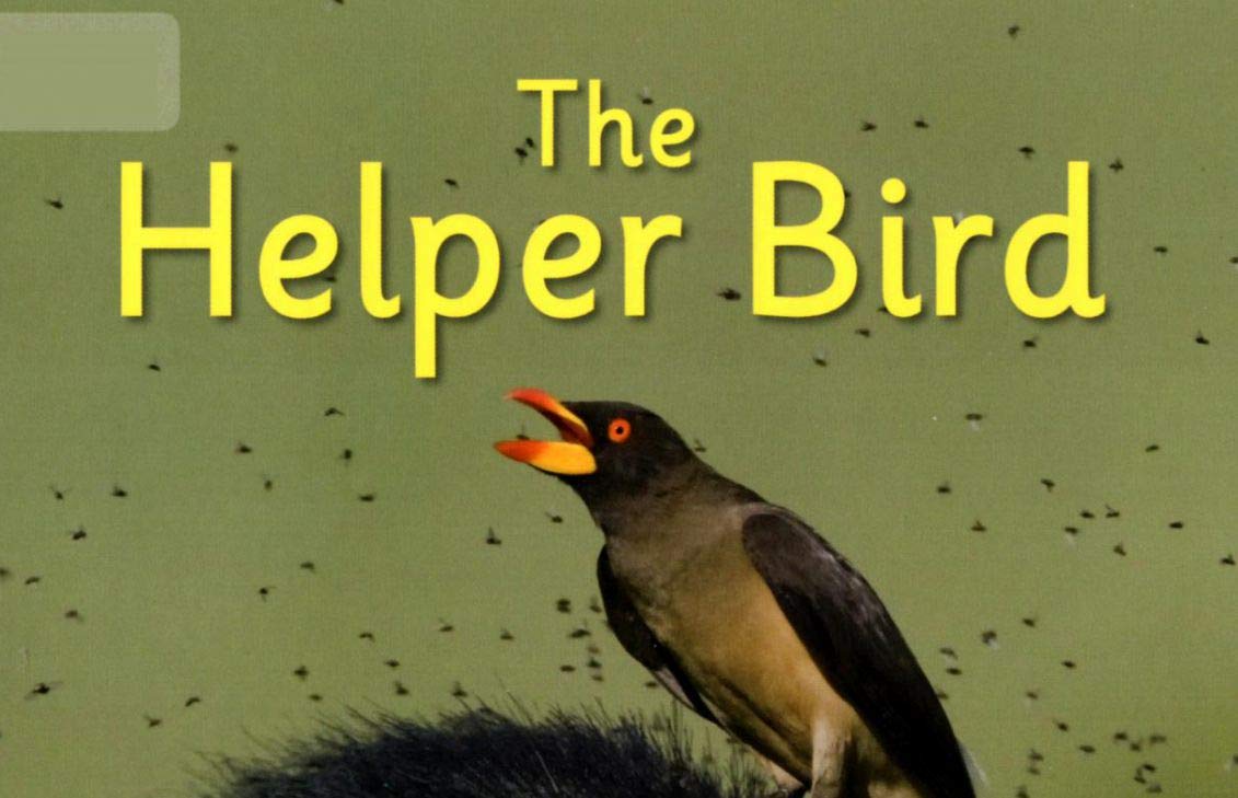 The Helper Bird: Children 5-8 years old must read picture book by Anita ...