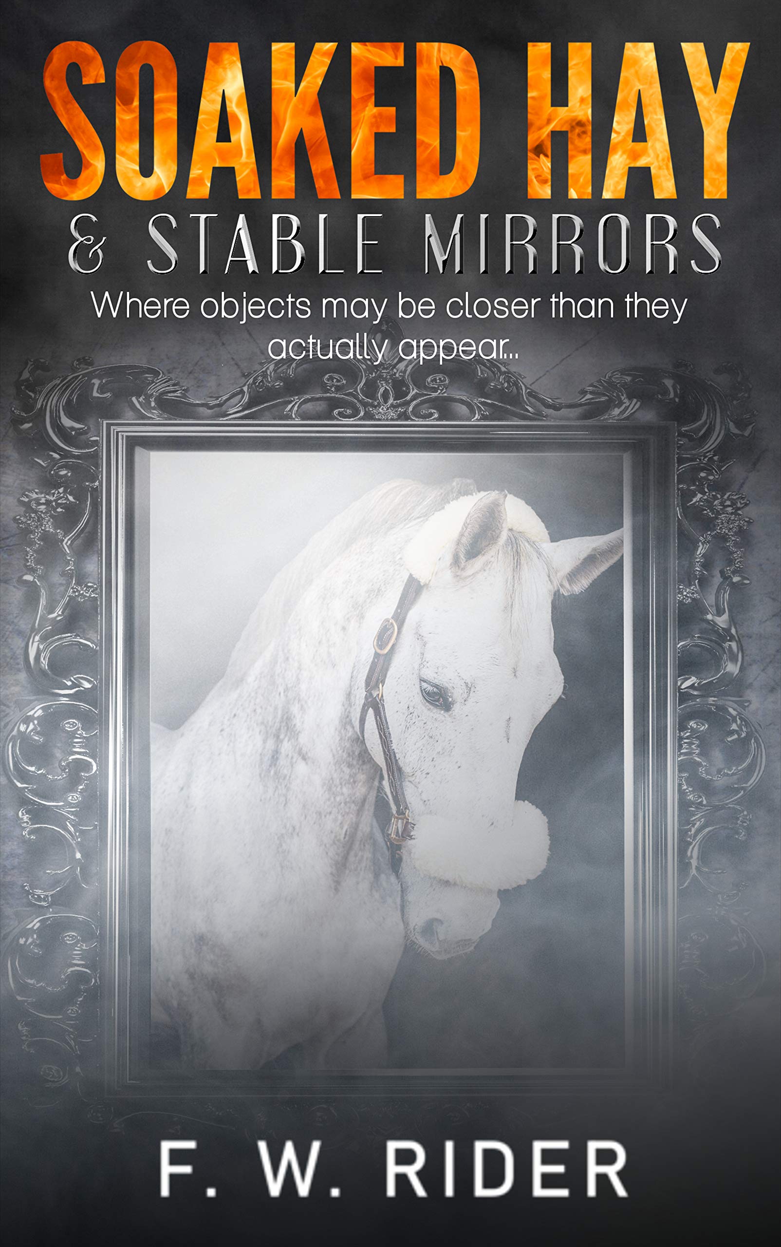 Soaked Hay & Stable Mirrors: An Equestrian Romance Novella 2 of 2 by F ...