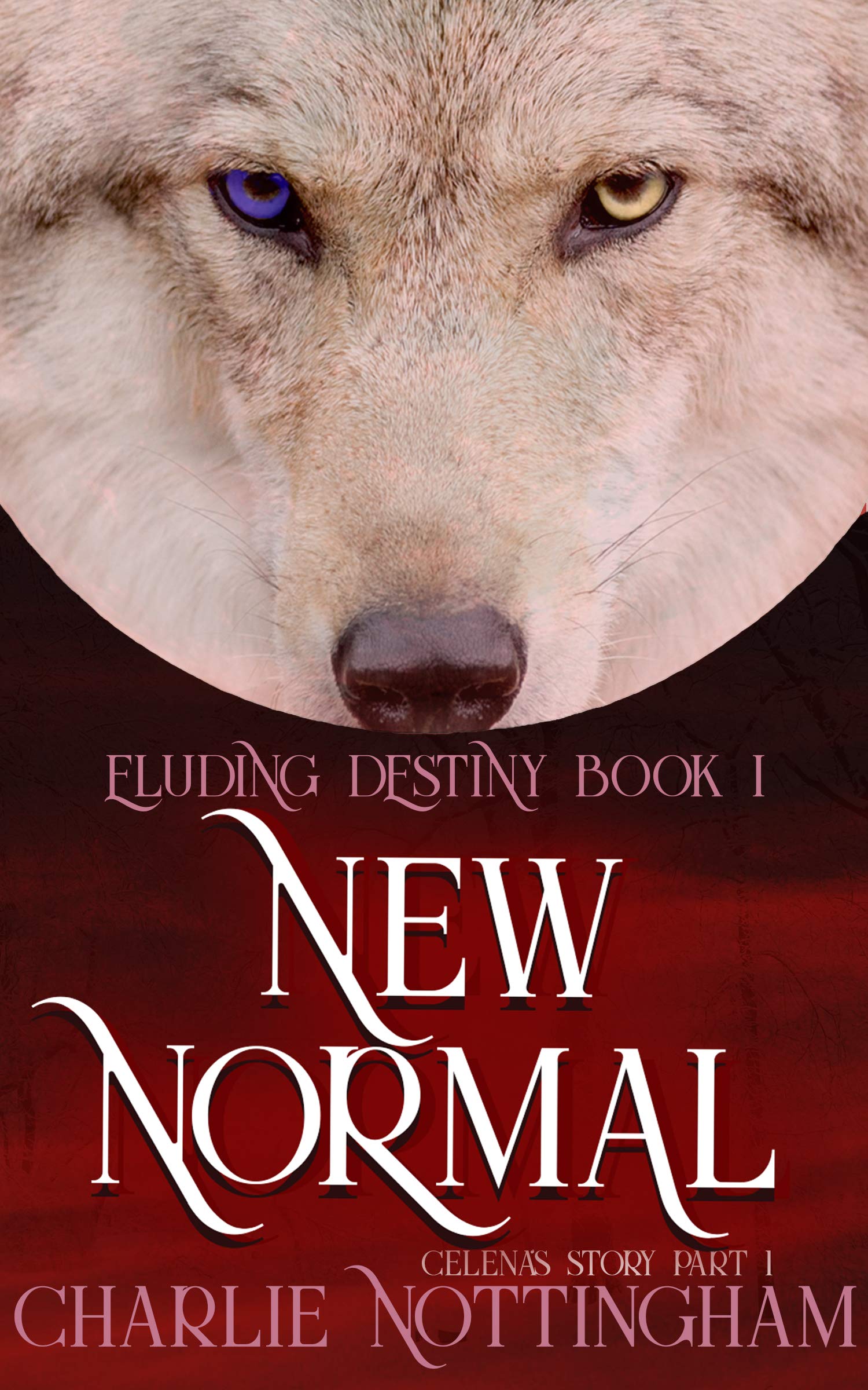 New Normal (Celena's Story #1) by Charlie Nottingham | Goodreads