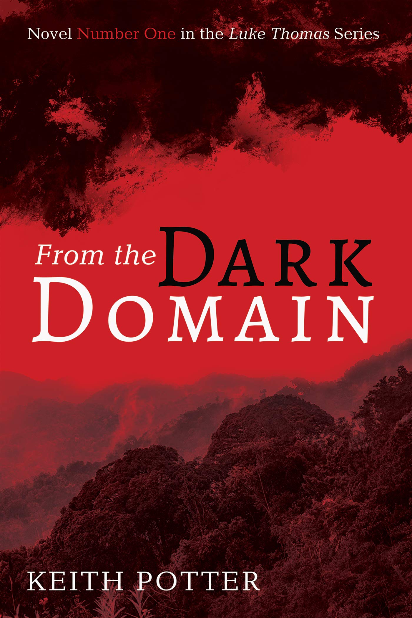 From the Dark Domain: Novel Number One in the Luke Thomas Series by ...