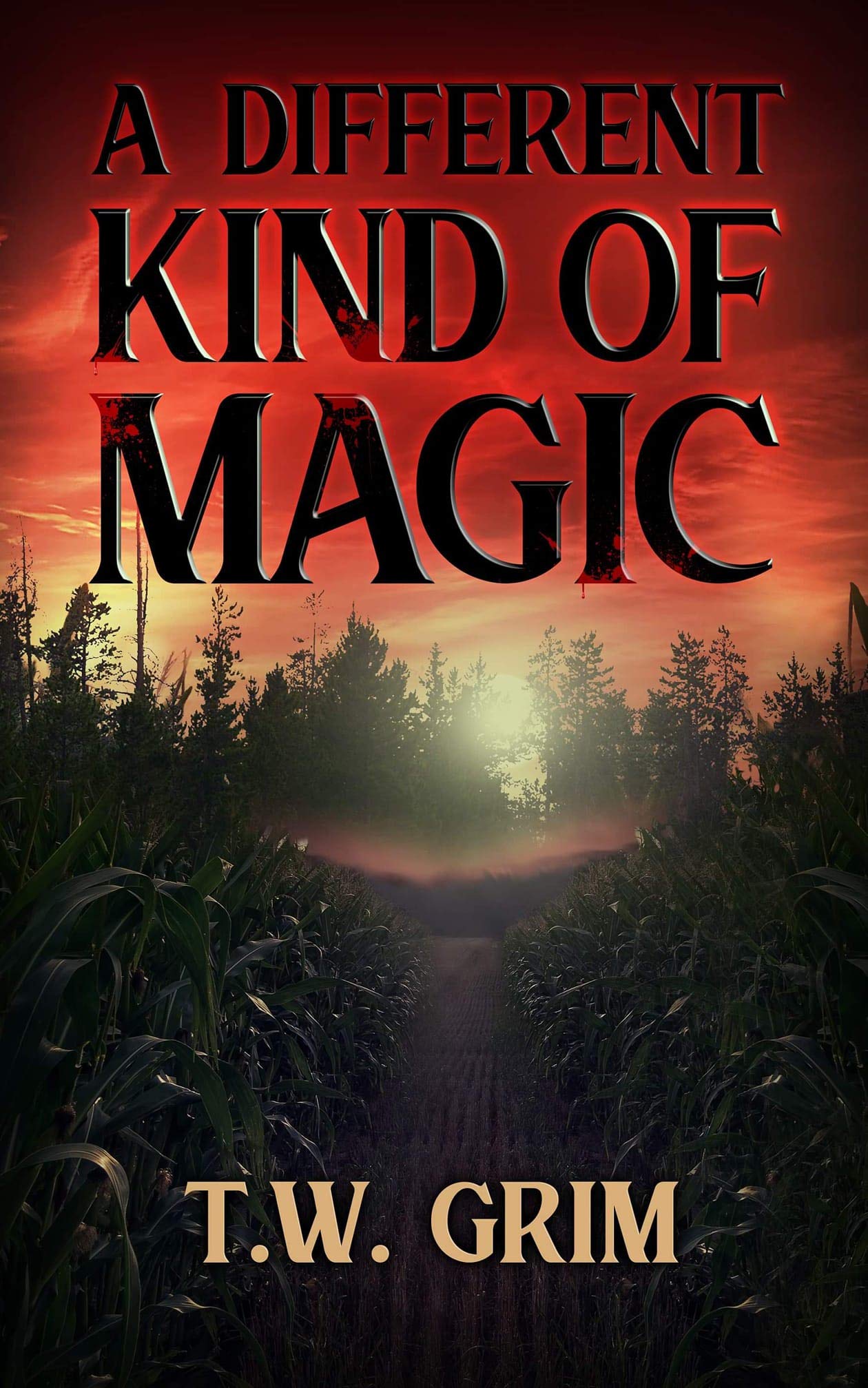 A Different Kind of Magic by T.W. Grim | Goodreads