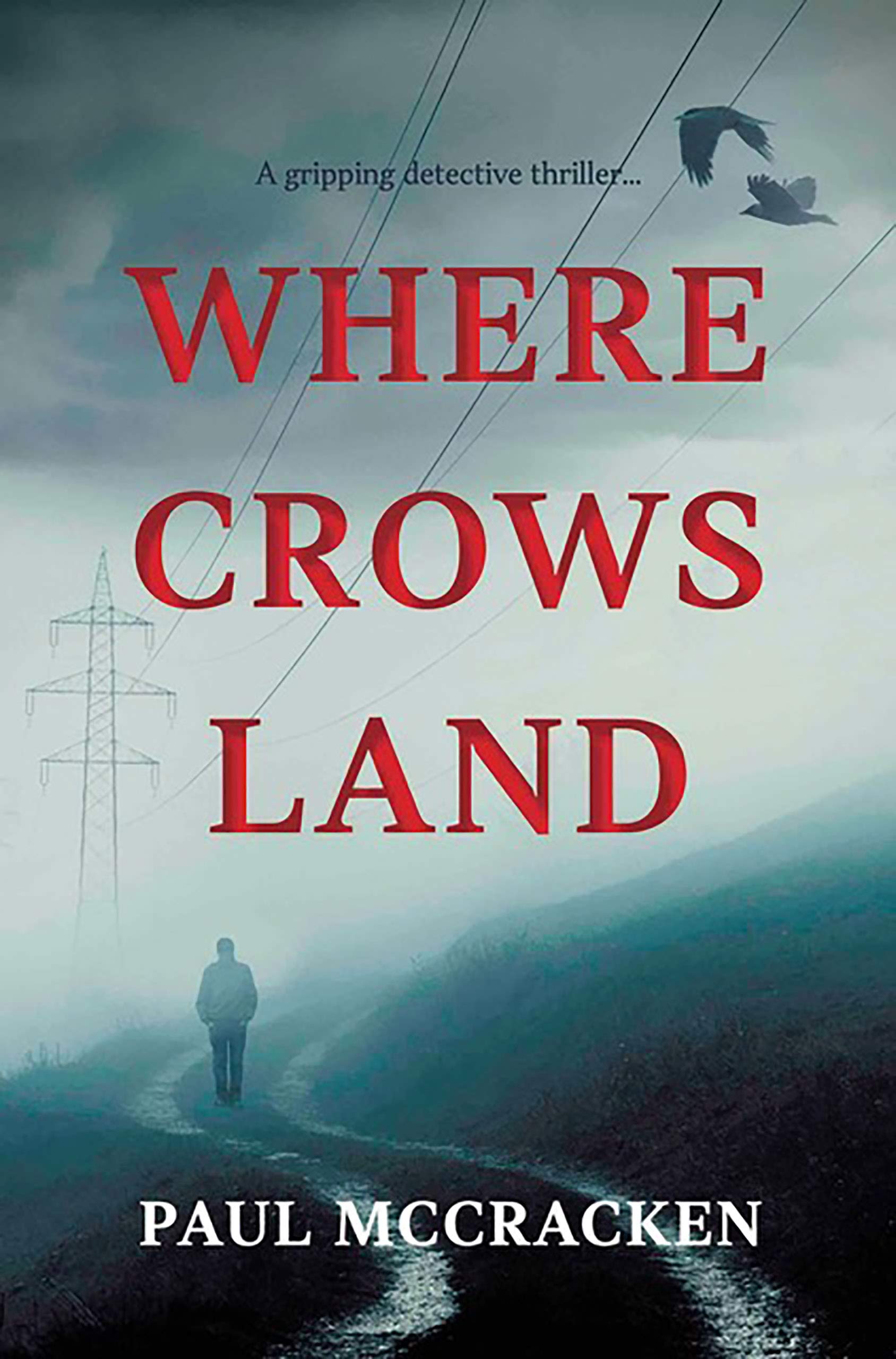 Where Crows Land by Paul McCracken | Goodreads