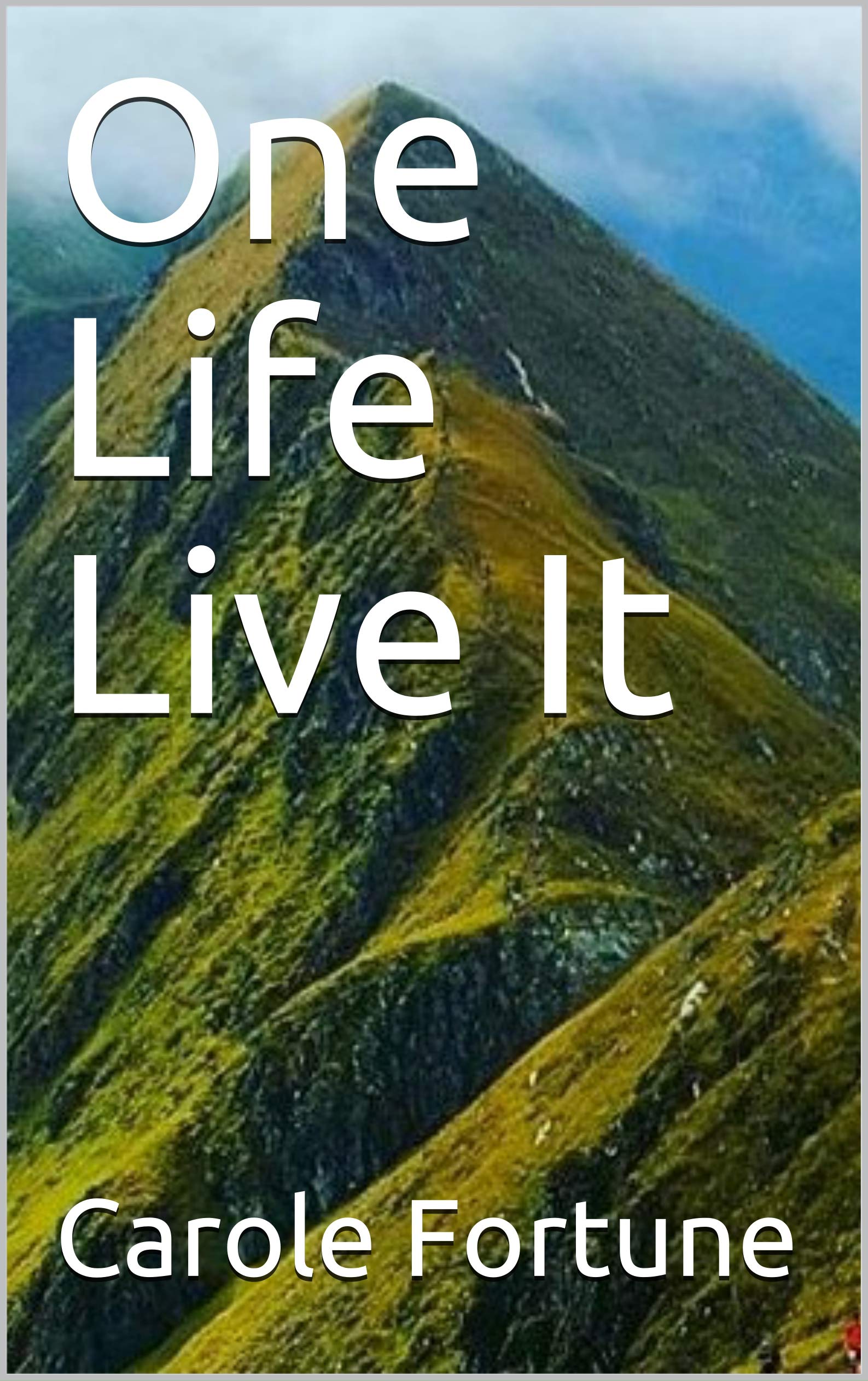 One Life Live It by Carole Fortune | Goodreads