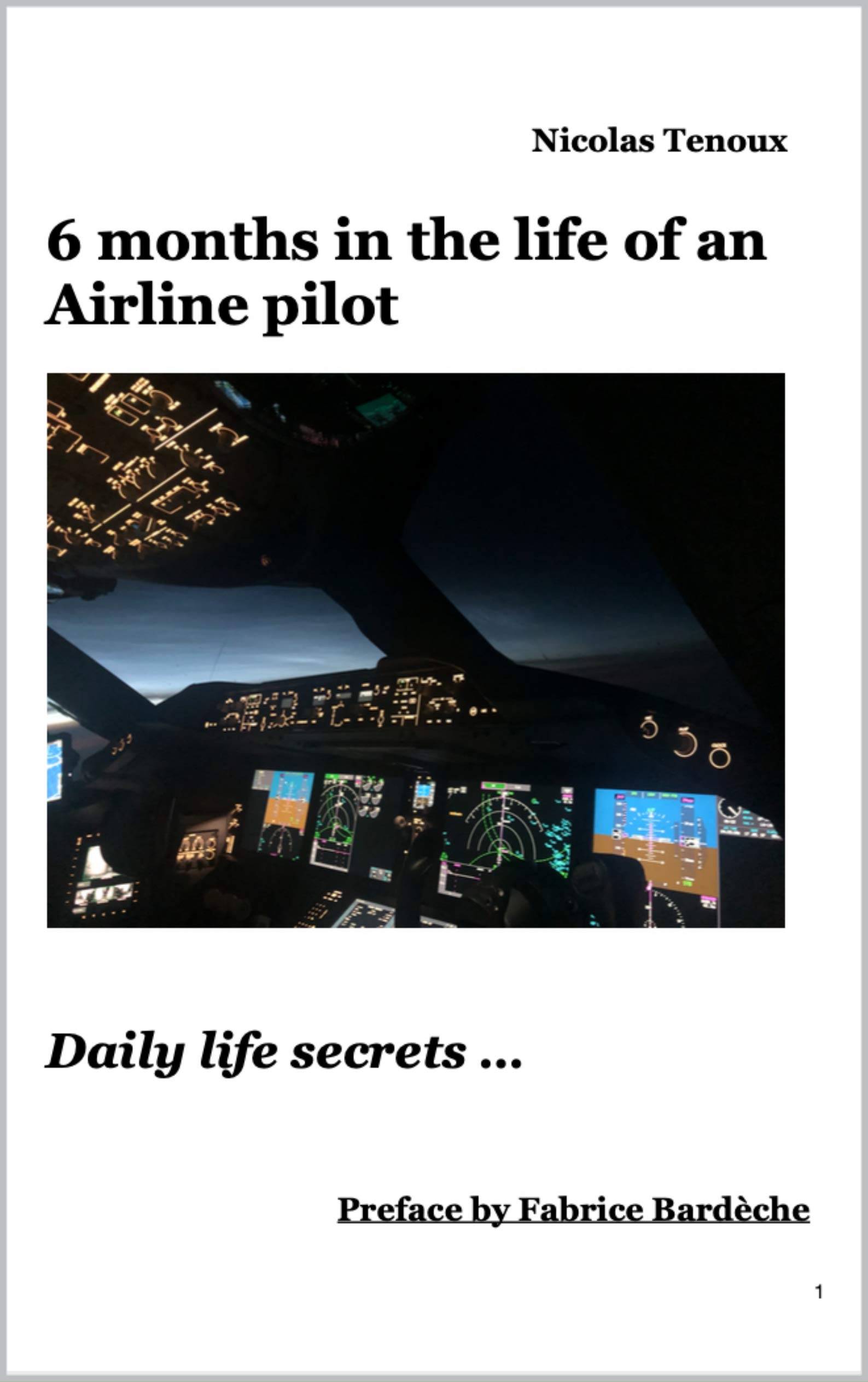 6 months in the life of an Airline pilot: Daily life secrets ... by ...