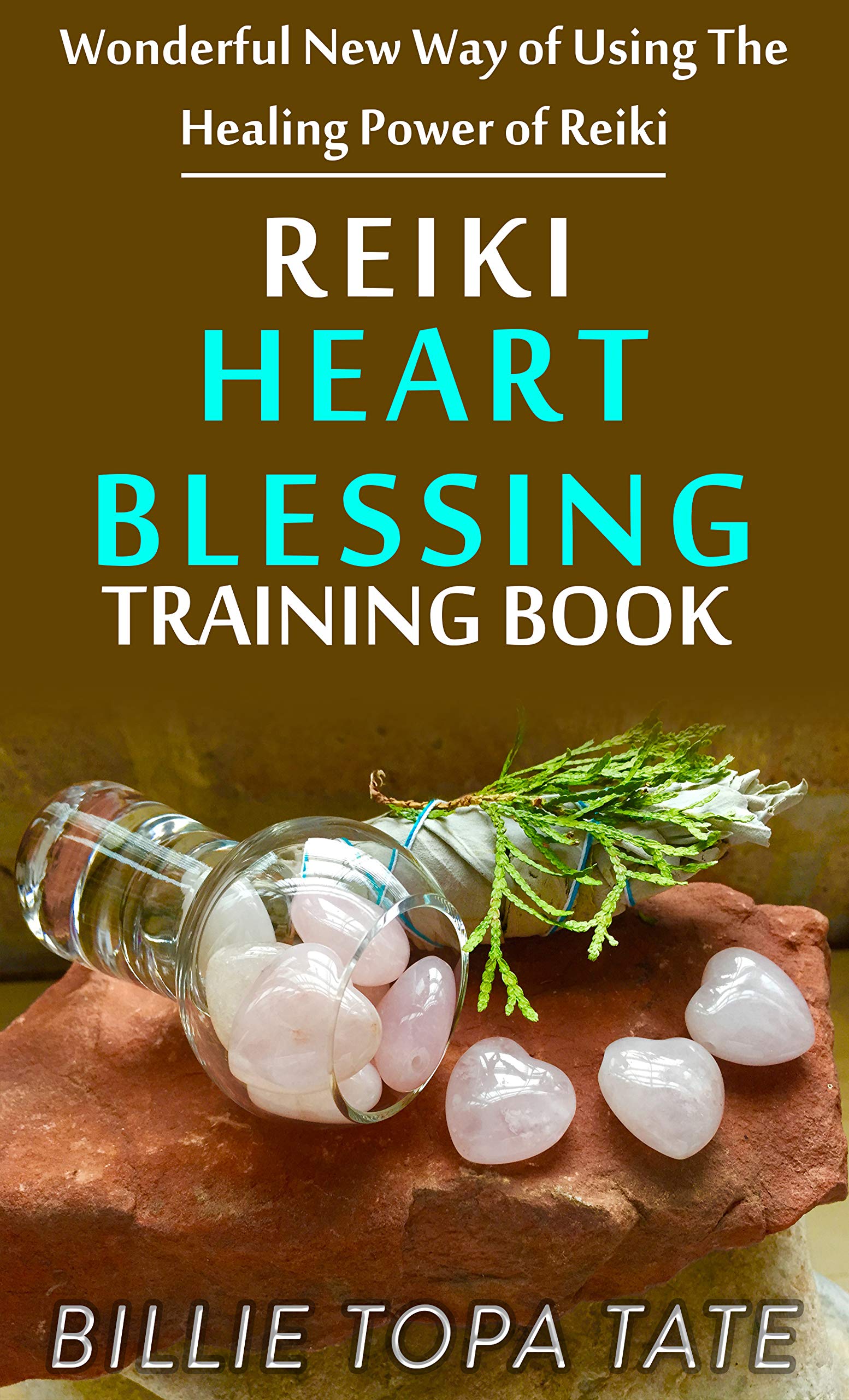 Reiki Heart Blessing Training Book: Wonderful new way of using the ...