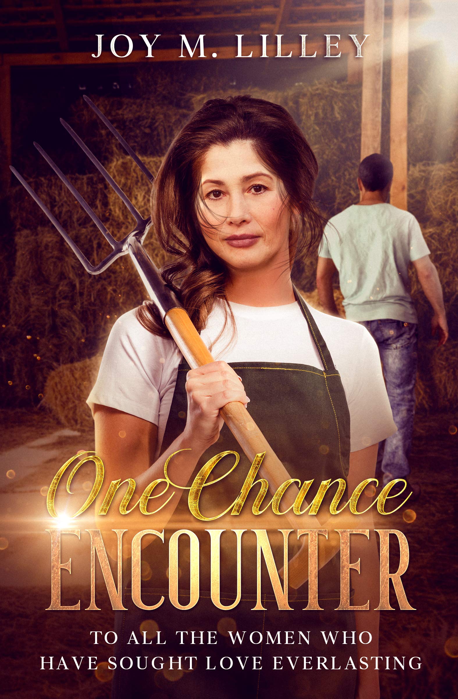 One Chance Encounter by Joy Lilley | Goodreads