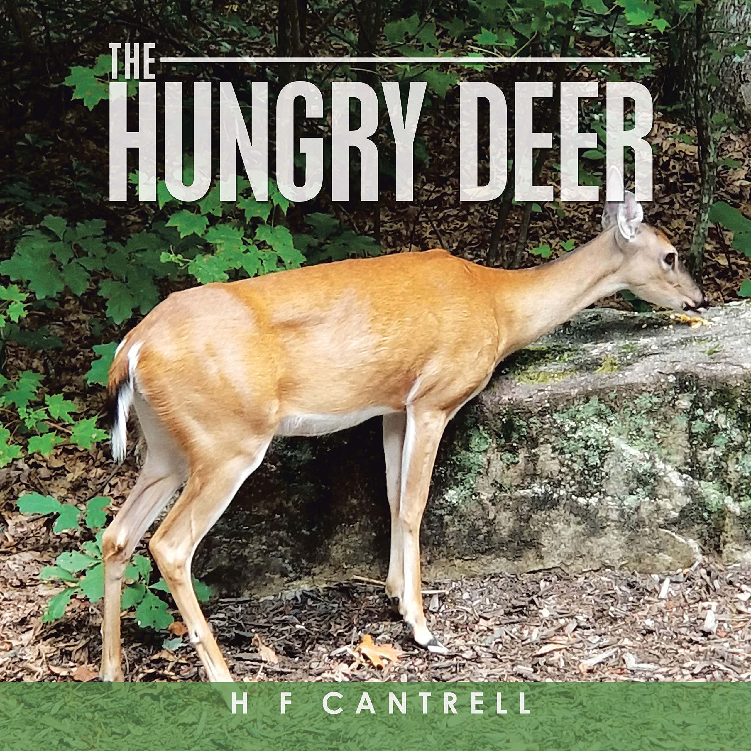 The Hungry Deer by H F Cantrell | Goodreads