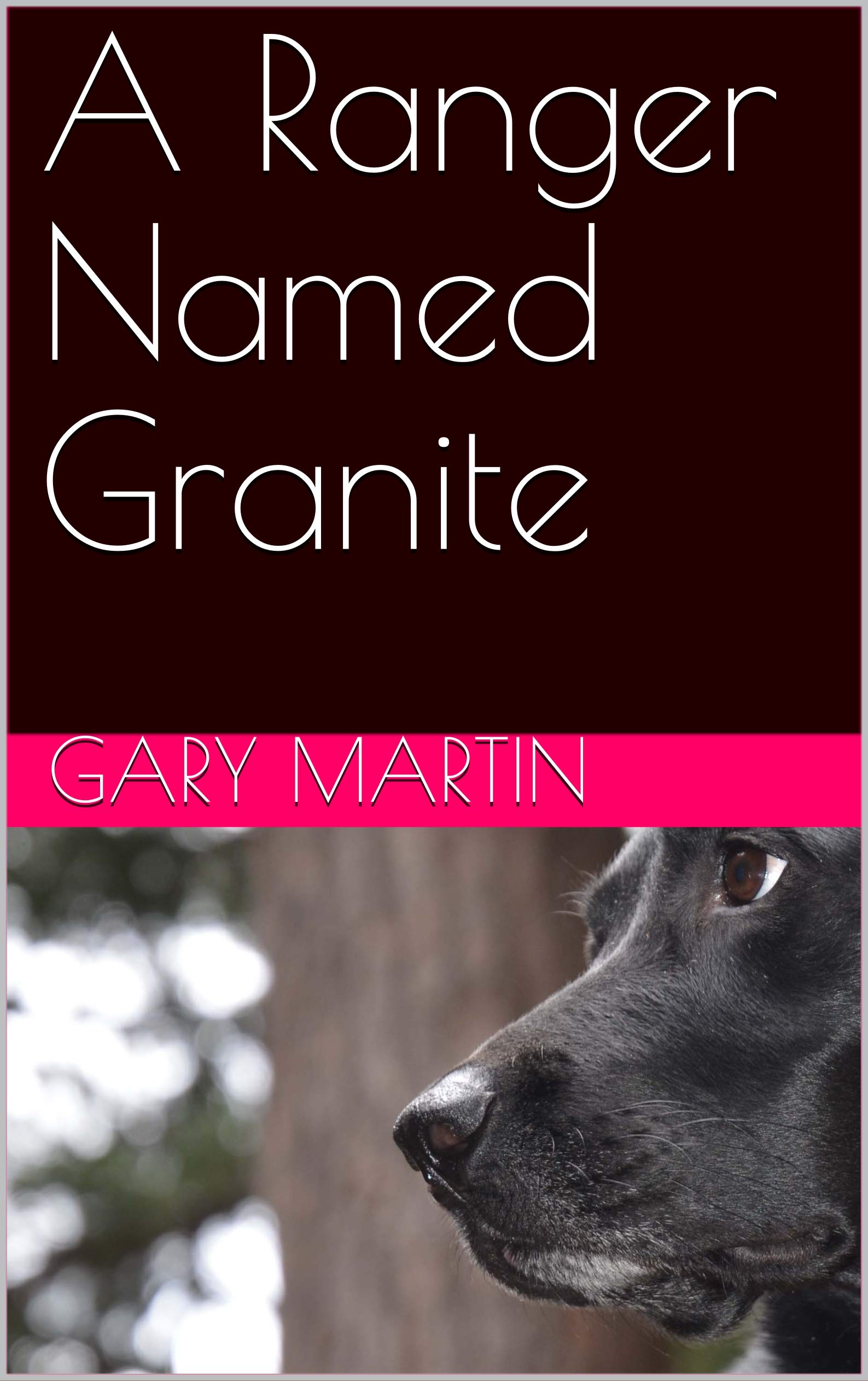 A Ranger Named Granite by Gary Martin | Goodreads