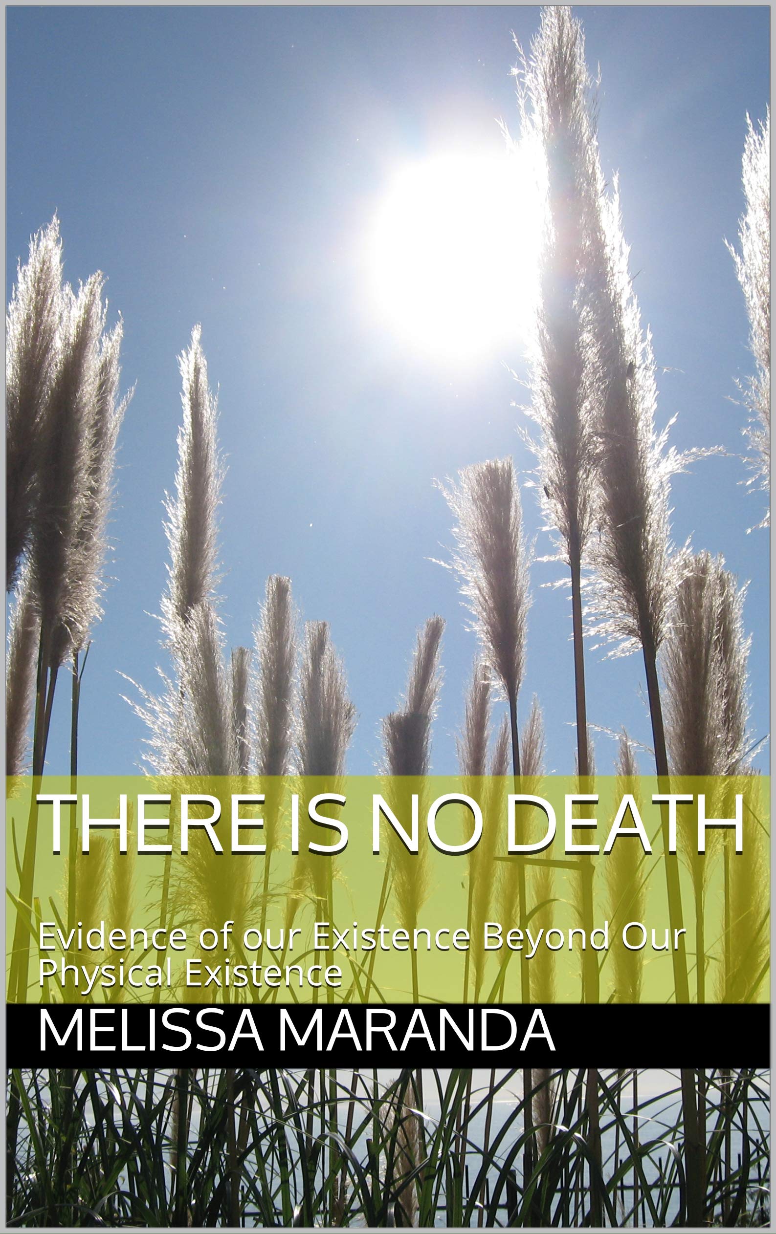 There is No Death: Evidence of our Existence Beyond Our Physical ...