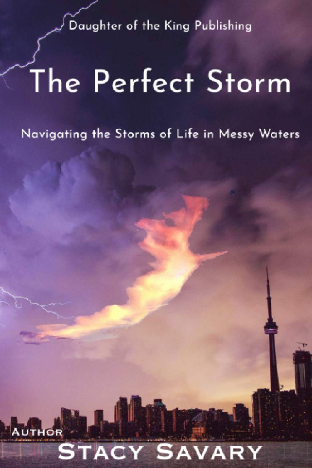 The Perfect Storm: Navigating the Storms of Life in Messy Waters by ...