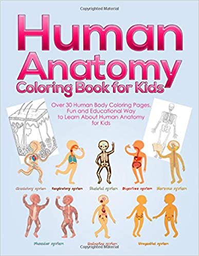 Human Anatomy Coloring Book for Kids: Over 30 Human Body Coloring Pages ...