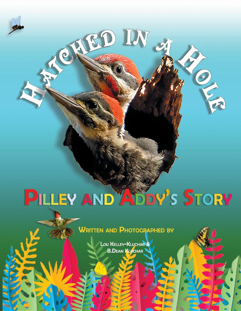 Hatched in a Hole: Pilley and Addy's Story by Lou Kelley-Kluchar ...