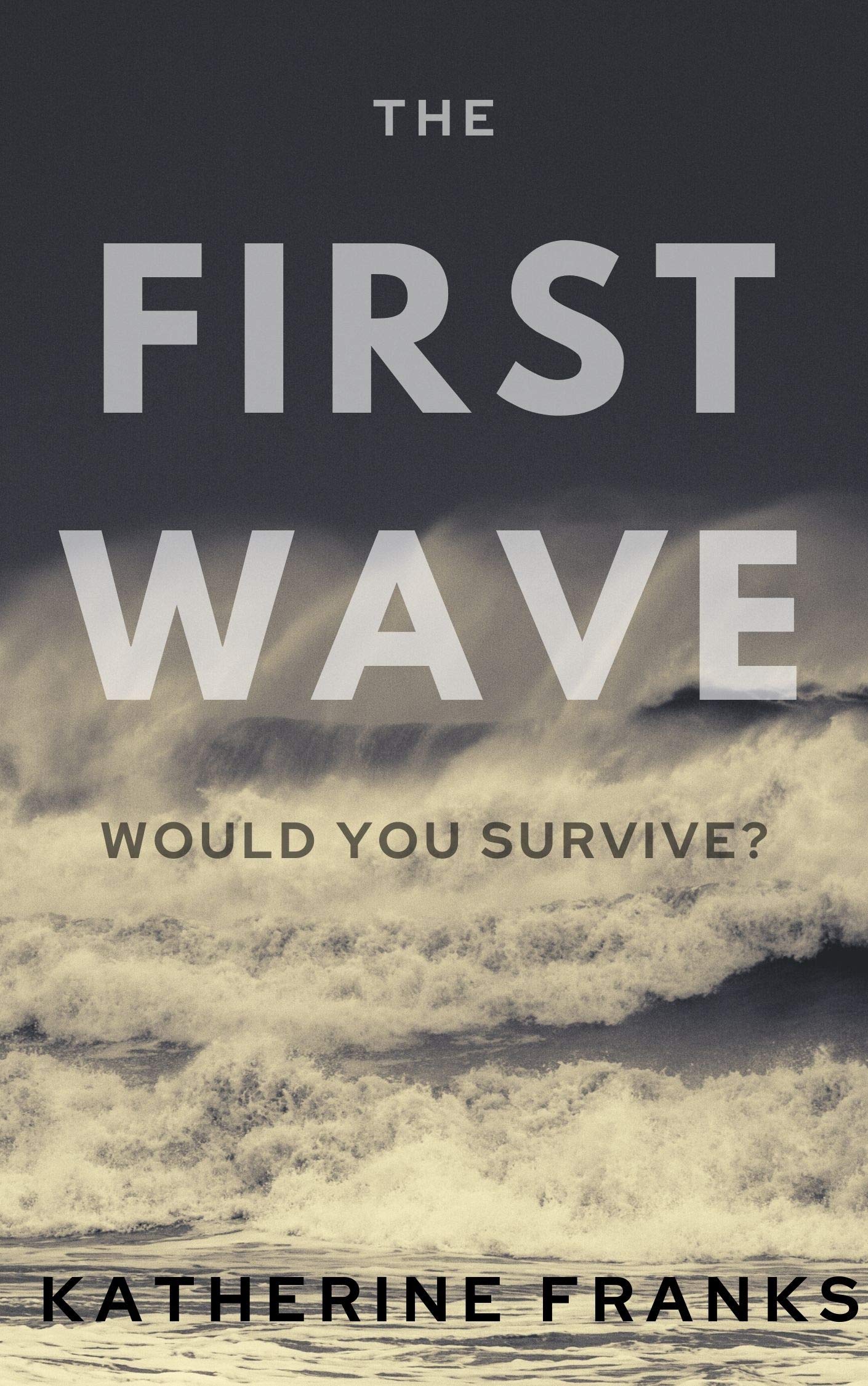 The First Wave: A Tsunami Strikes. Lives Change Forever by Katherine ...