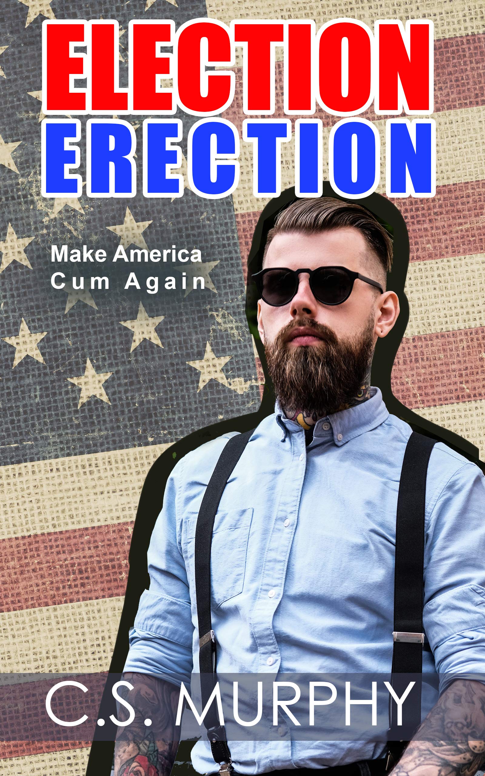 Election Erection by C.S. Murphy | Goodreads