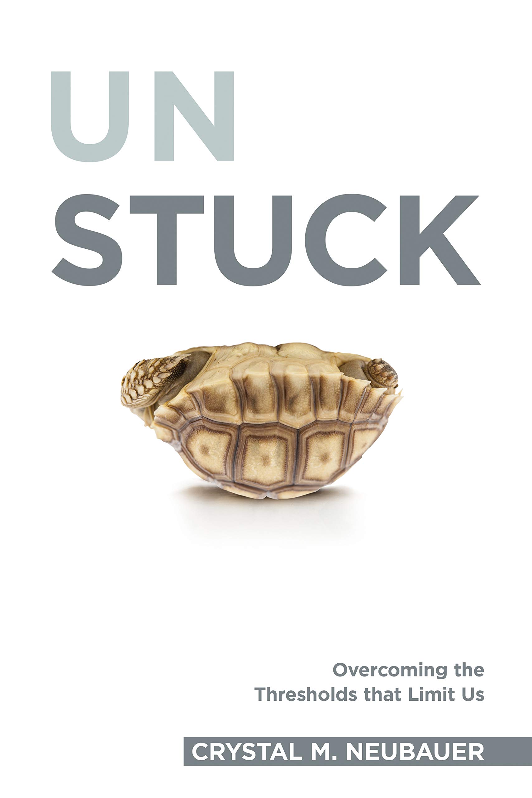 Unstuck: Overcoming the Thresholds that Limit Us by Crystal Neubauer ...