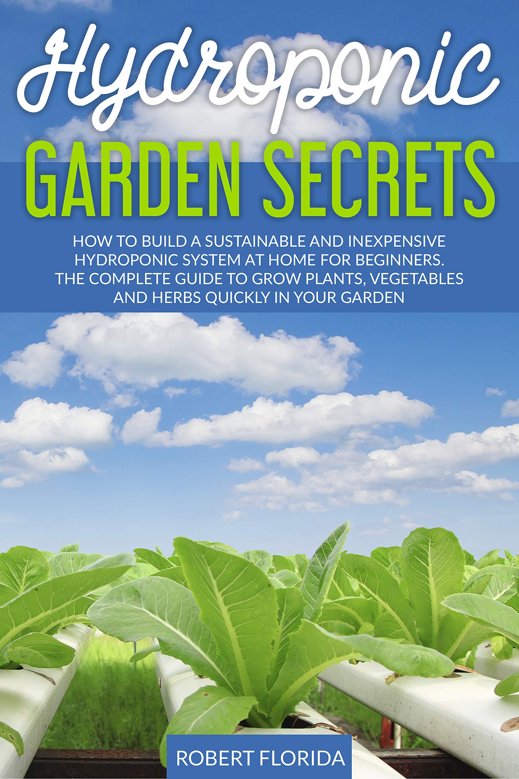 Hydroponic Garden Secrets: How to Build a Sustainable and Inexpensive ...
