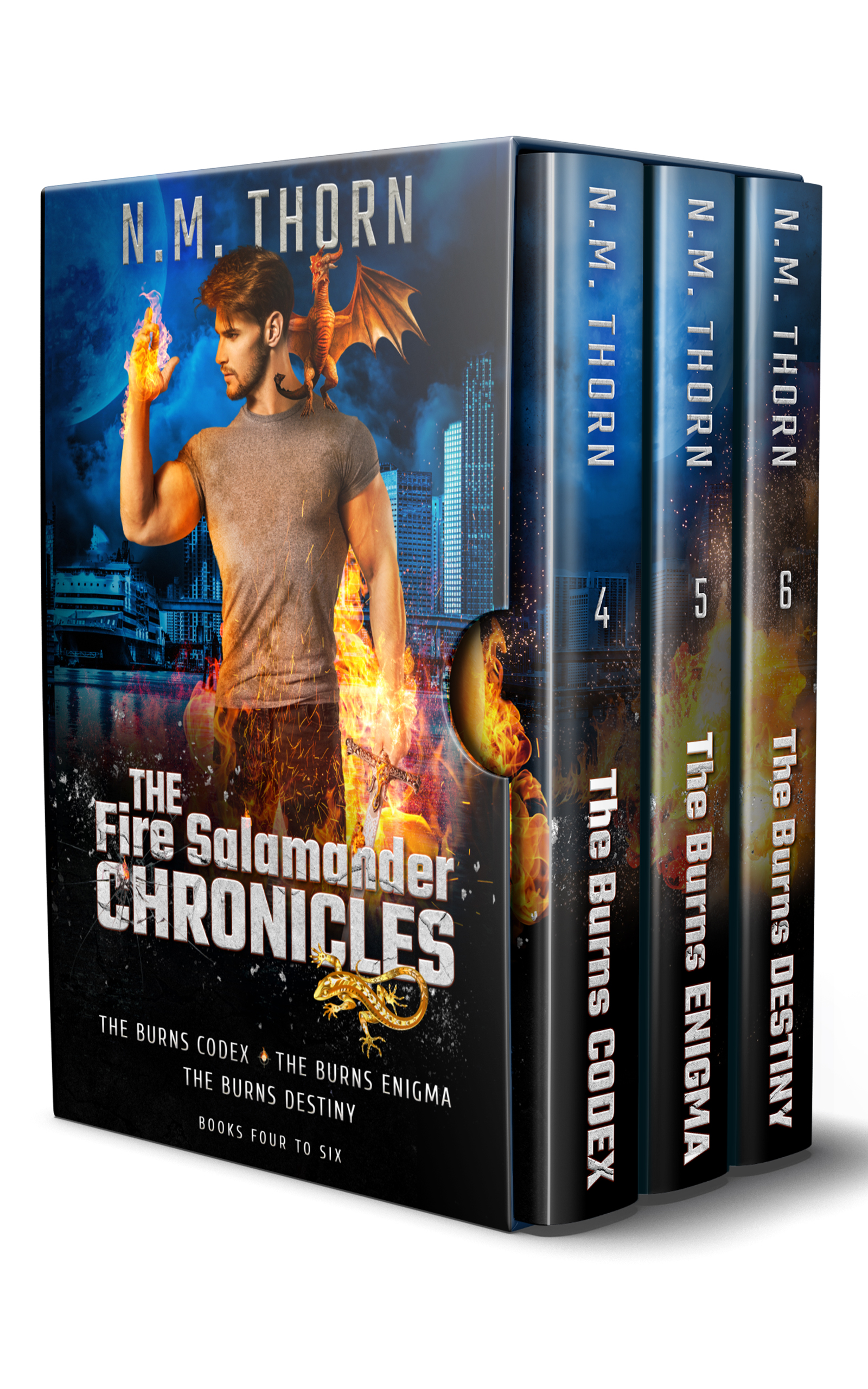 The Fire Salamander Chronicles Series: Books 4 - 6: The Fire Salamander ...