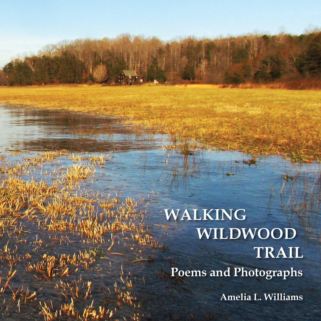Walking Wildwood Trail: Poems and Photographs by Amelia L Williams ...