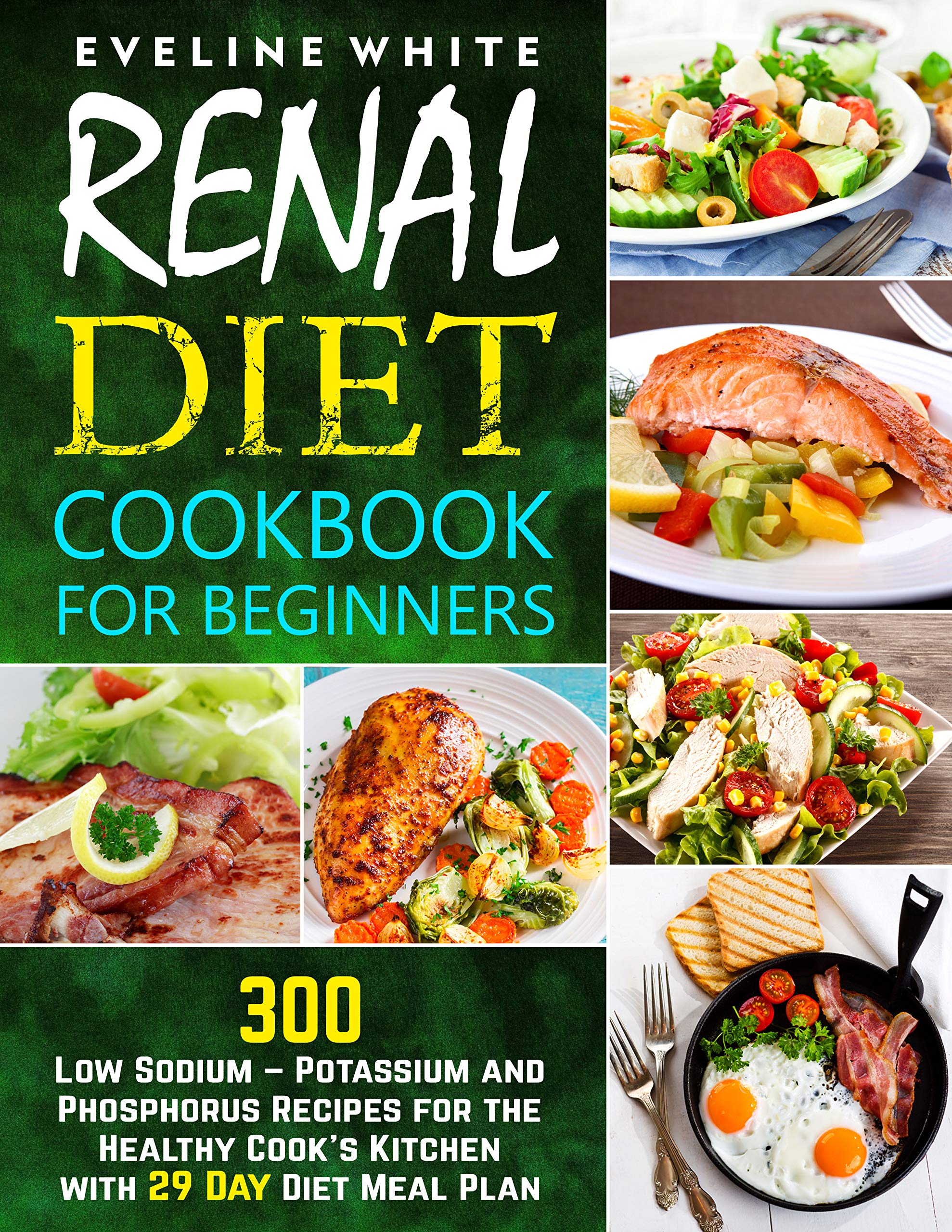 Renal Diet Cookbook for Beginners: 300 Low Sodium – Potassium and ...