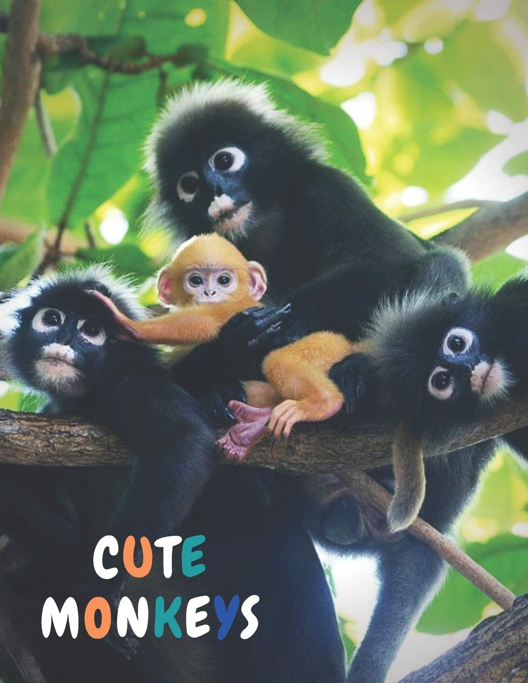 Cute Monkeys: A Great Picture Book for Kids with Interesting Facts ...