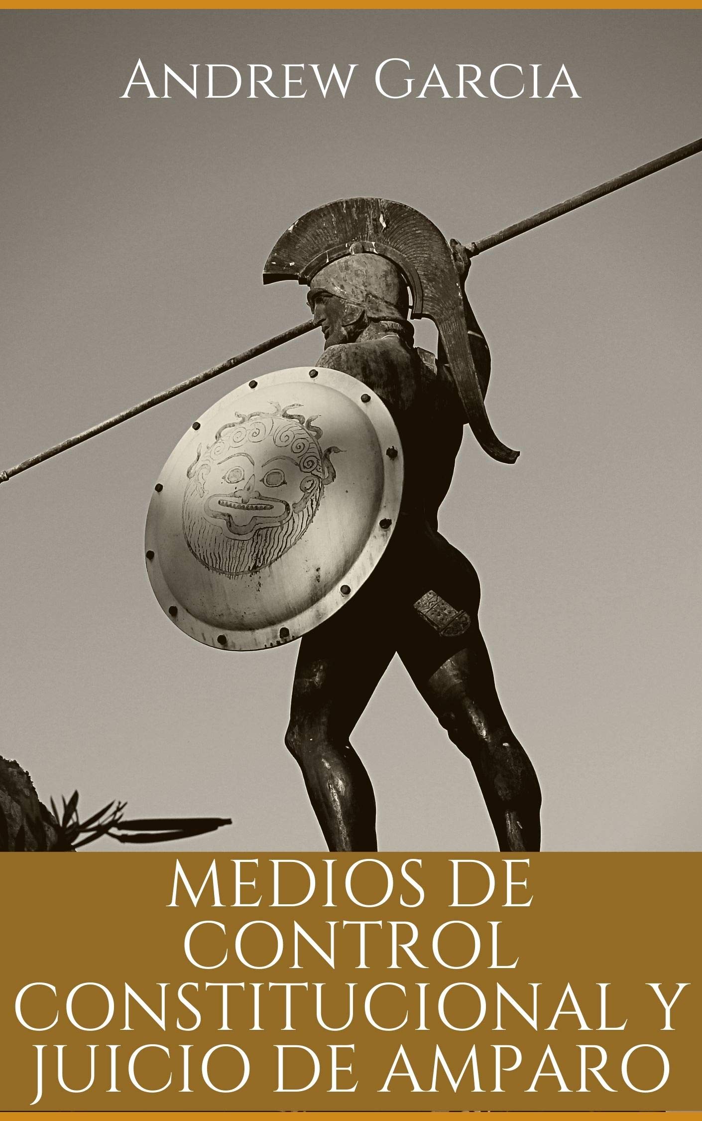Medios De Control Constitucional Y Juicio De Amparo by Andrew García ...