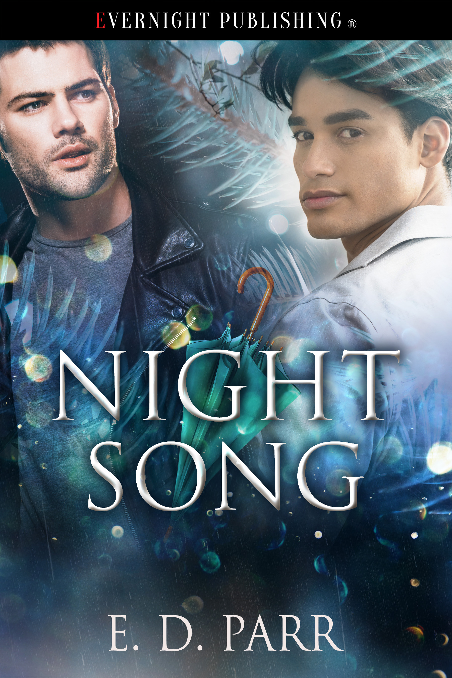 Night Song by E.D. Parr | Goodreads