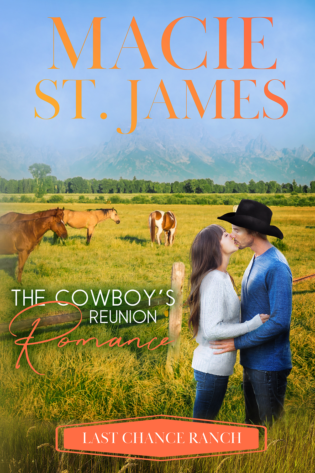 The Cowboy's Reunion Romance by Macie St. James | Goodreads