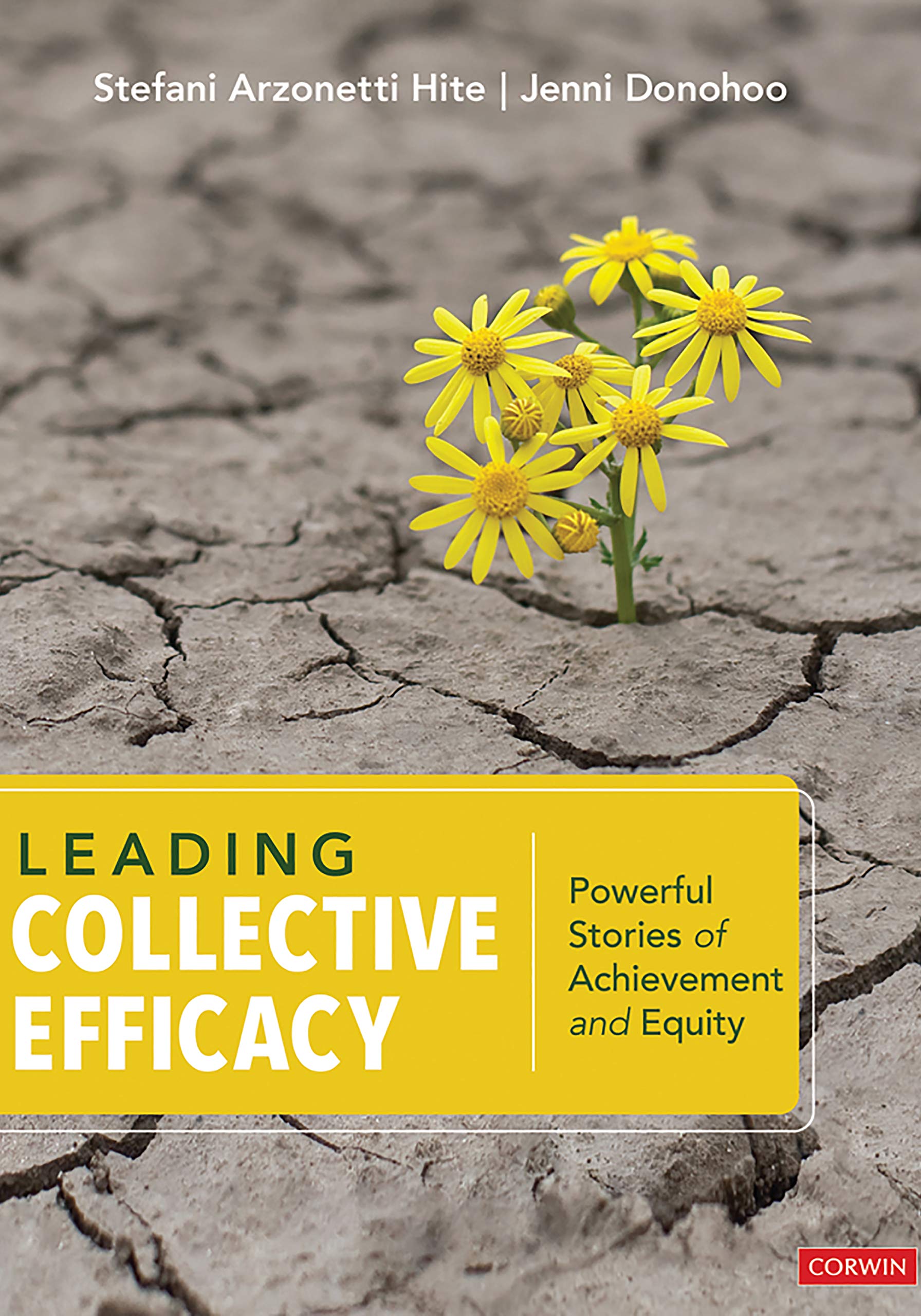 Leading Collective Efficacy: Powerful Stories of Achievement and Equity ...