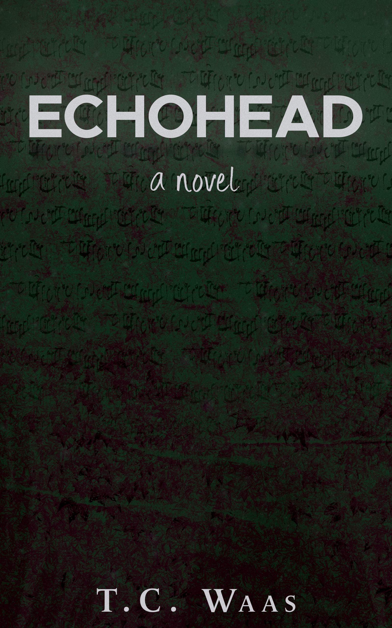 Echohead by T.C. Waas | Goodreads