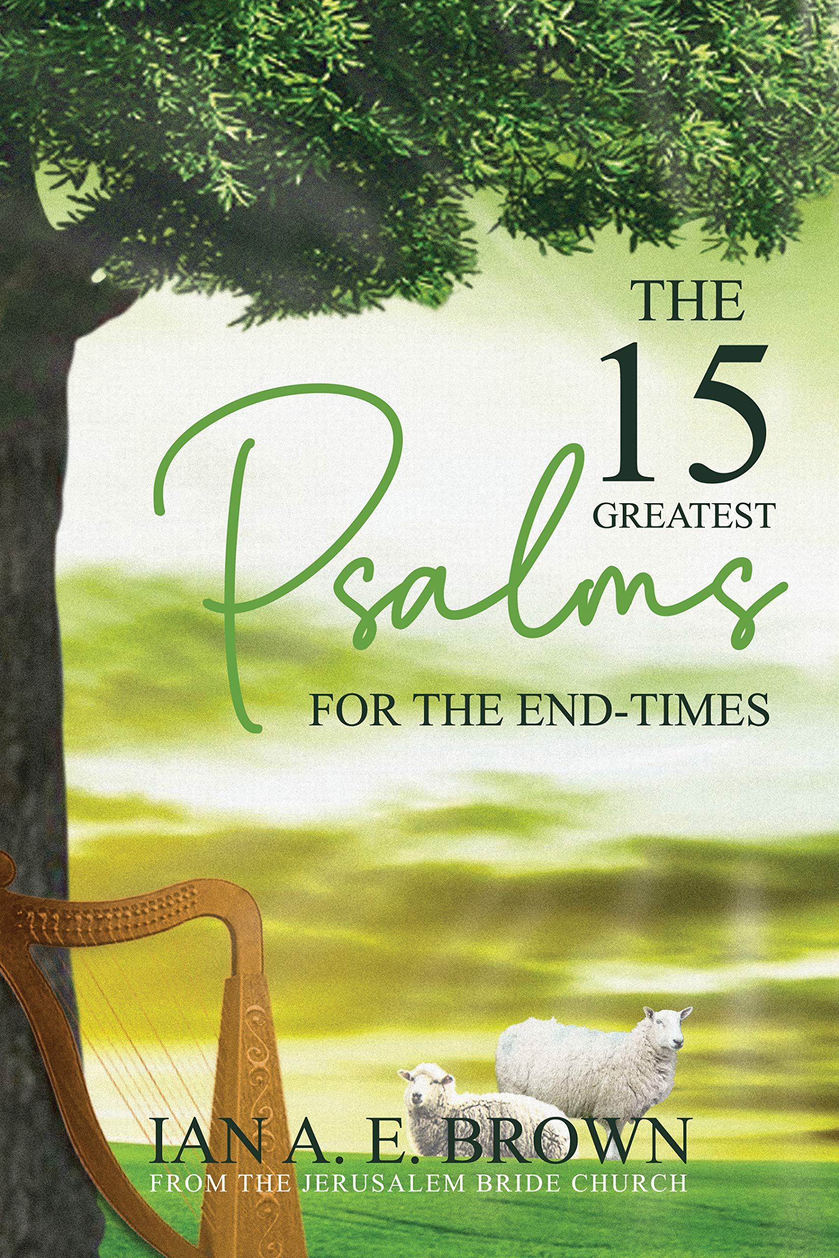 The Fifteen Greatest Psalms For The End Times (Revised Edition) . by ...