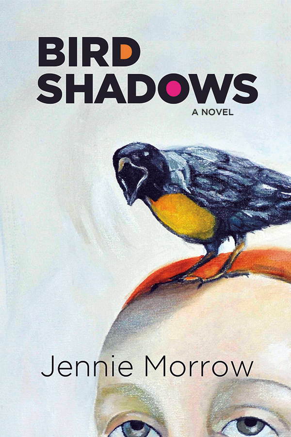 Bird Shadows (Inanna Poetry & Fiction Series) by Jeannie Morrow | Goodreads