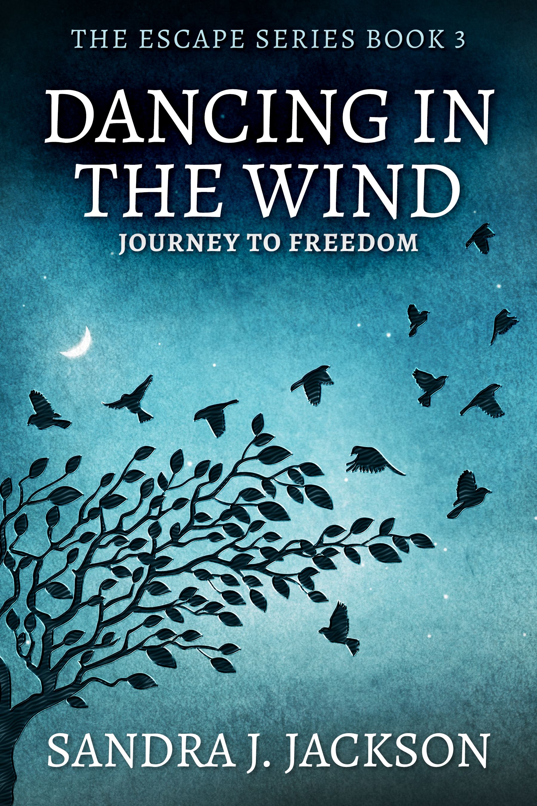 Dancing in the Wind (Escape #3) by Sandra J. Jackson | Goodreads