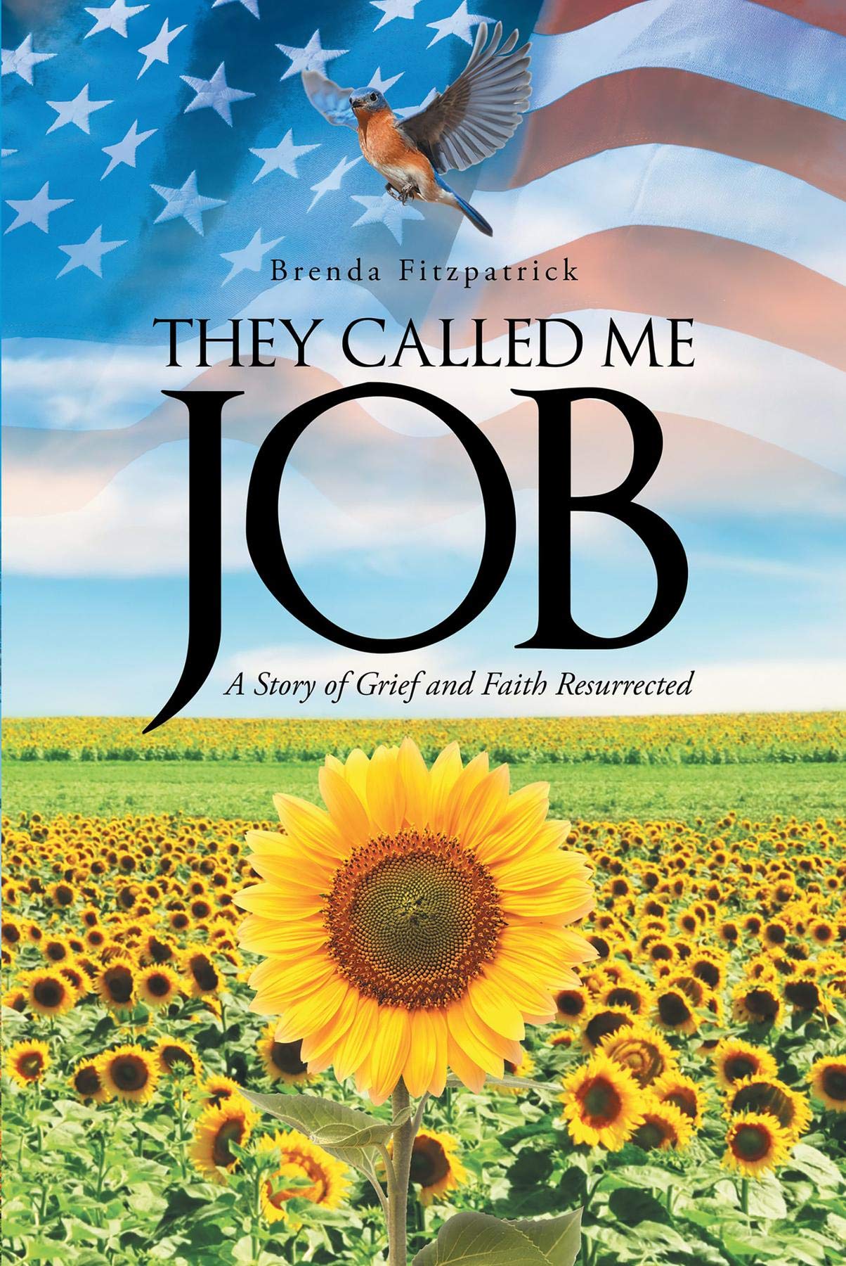 They Called Me Job: A Story of Grief and Faith Resurrected by Brenda ...