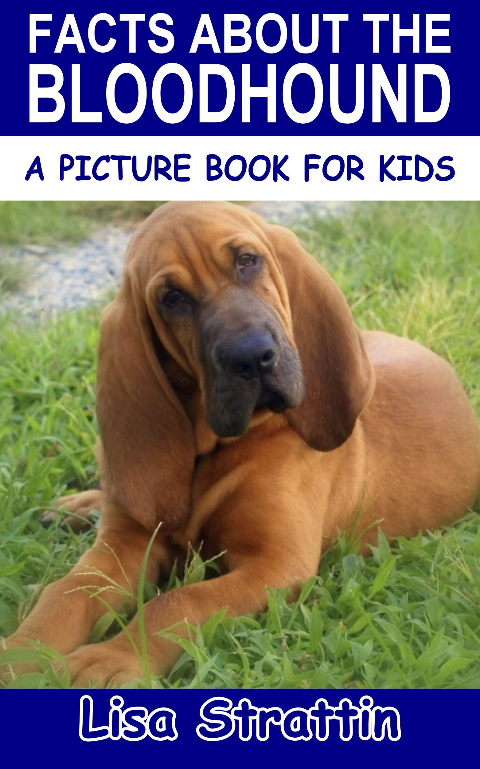 Facts About the Bloodhound by Lisa Strattin | Goodreads