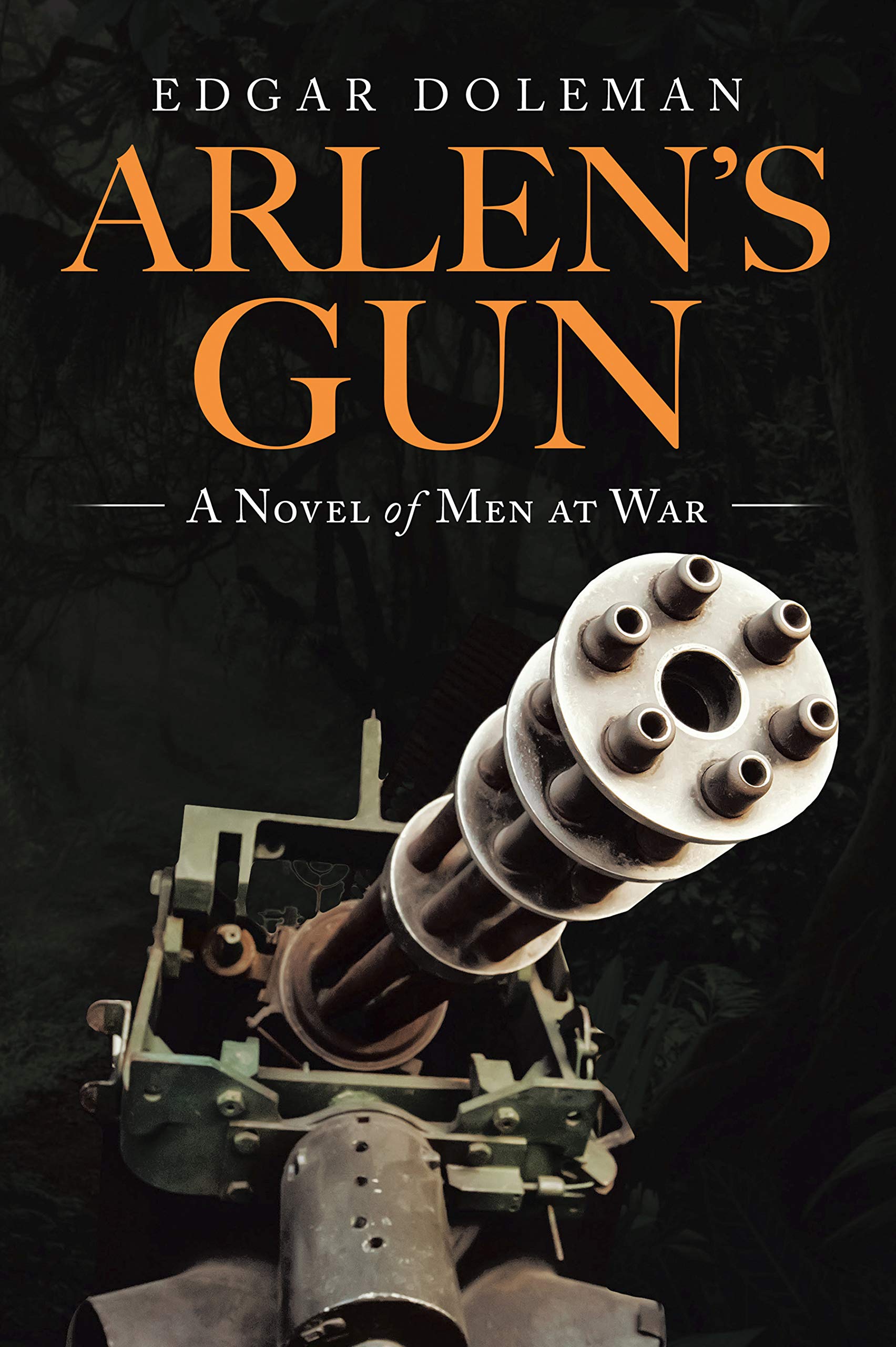 Arlen's Gun: A Novel of Men at War by Edgar Doleman | Goodreads