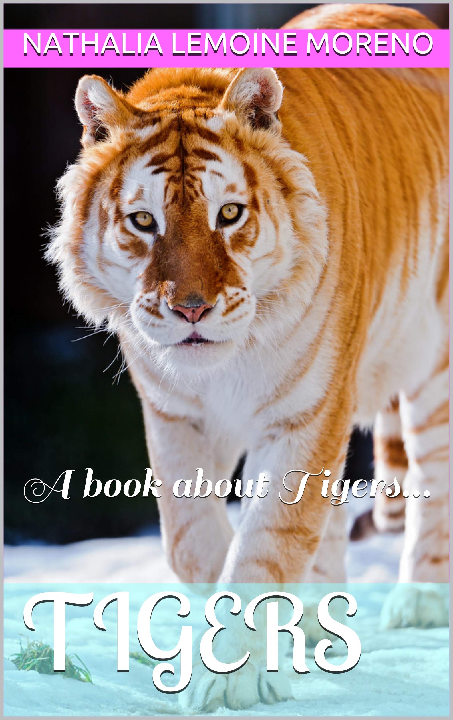Tigers: A book about Tigers... by Nathalia Lemoine Moreno | Goodreads