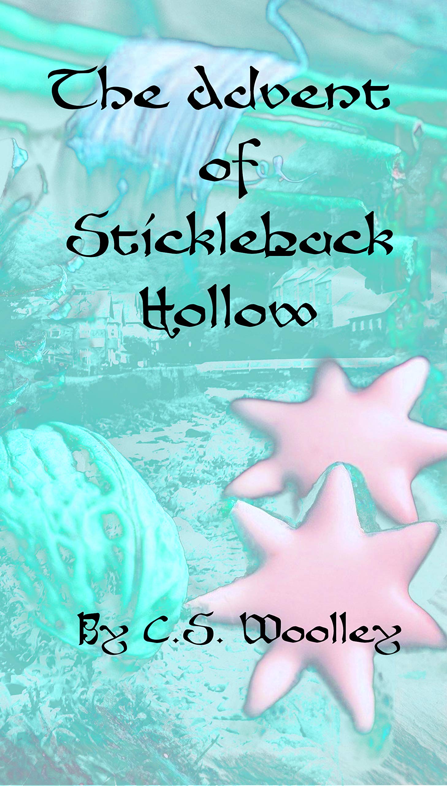 The Advent of Stickleback Hollow: A British Historical Cosy Mystery by ...