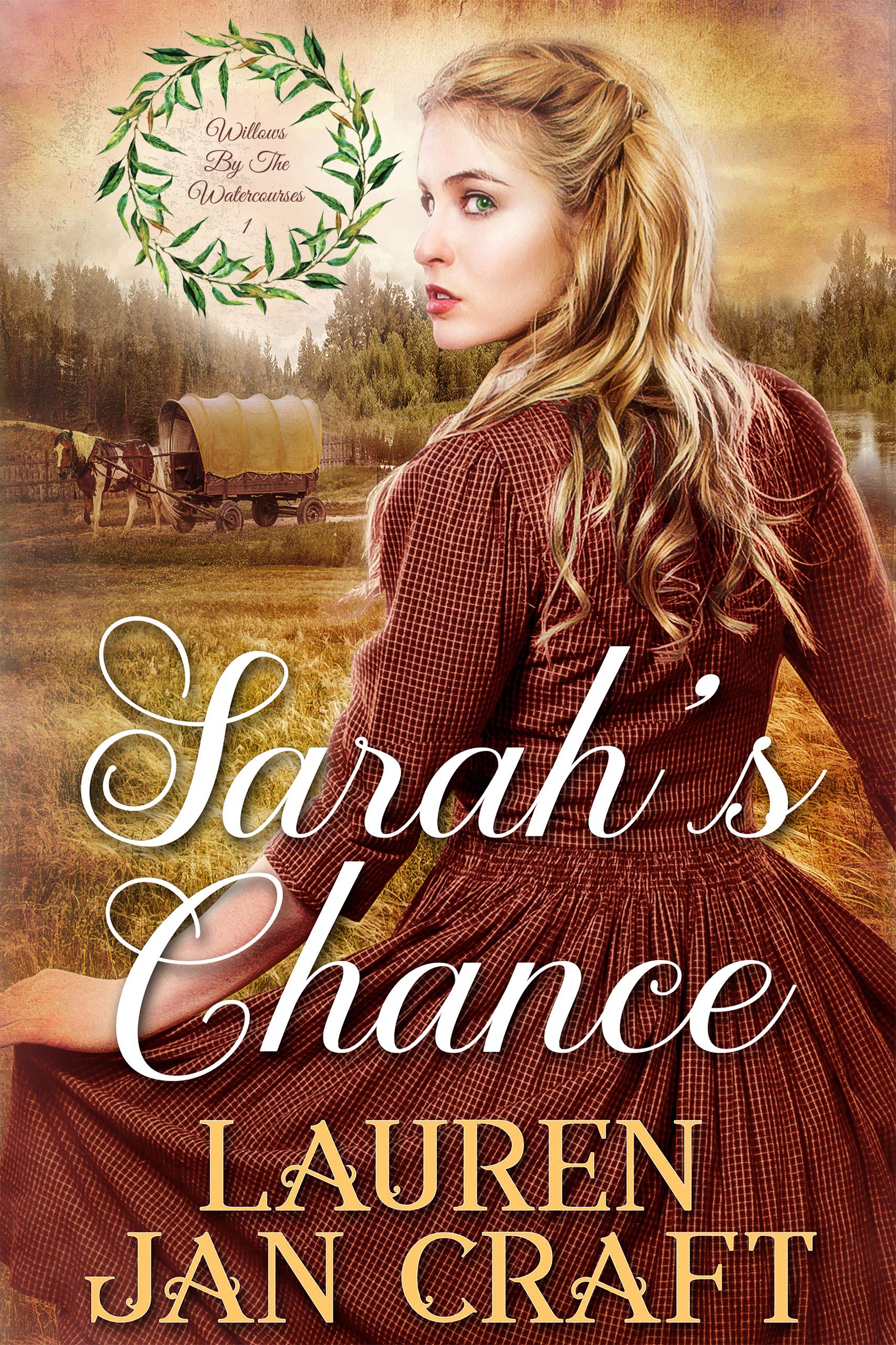 Sarah's Chance by Lauren Jan Craft | Goodreads