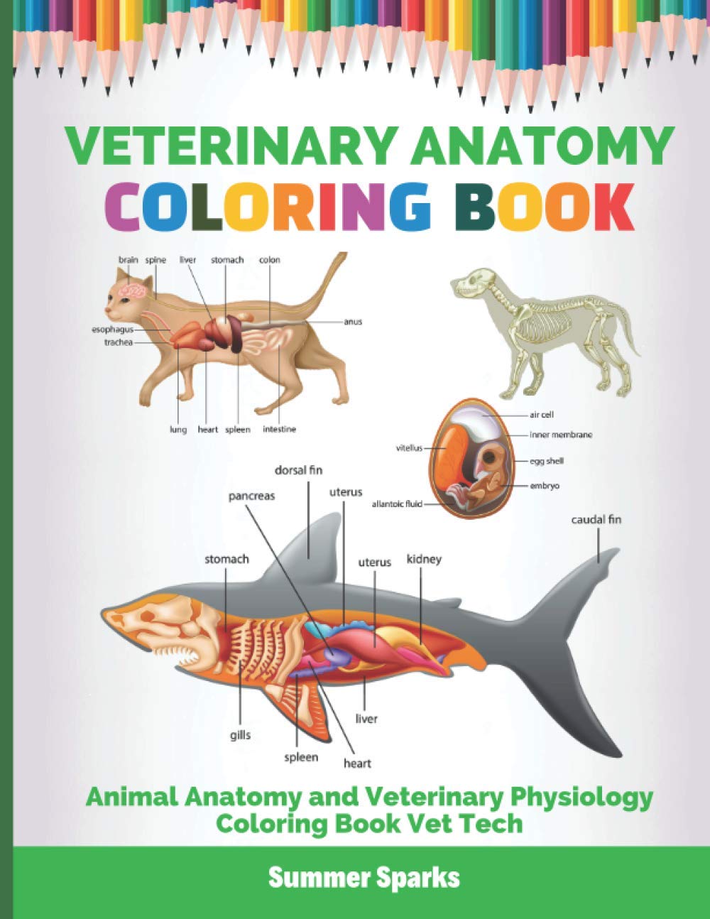 Veterinary Anatomy Coloring Book: Animal Anatomy and Veterinary ...