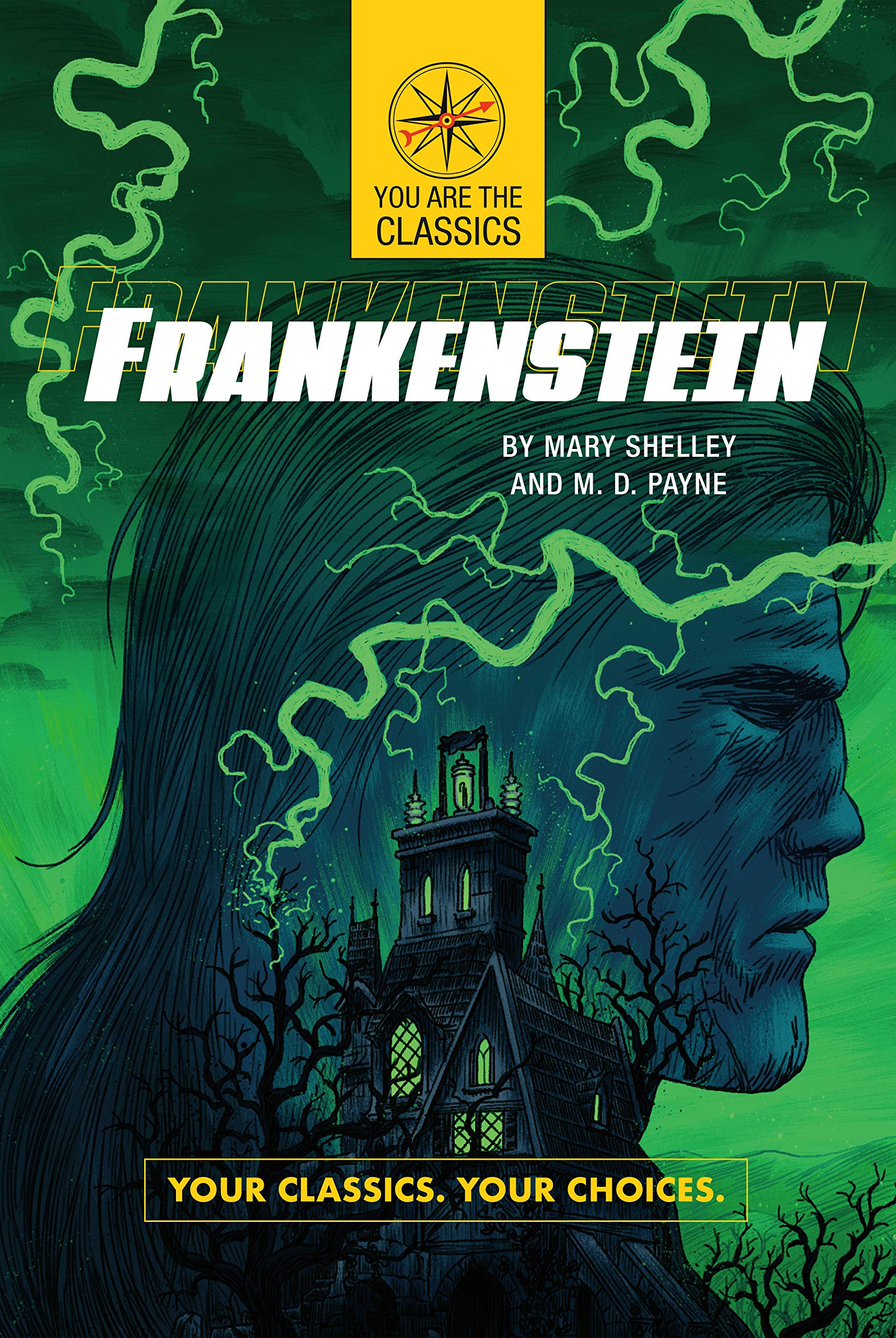 Frankenstein: Your Classics. Your Choices. by M.D. Payne | Goodreads